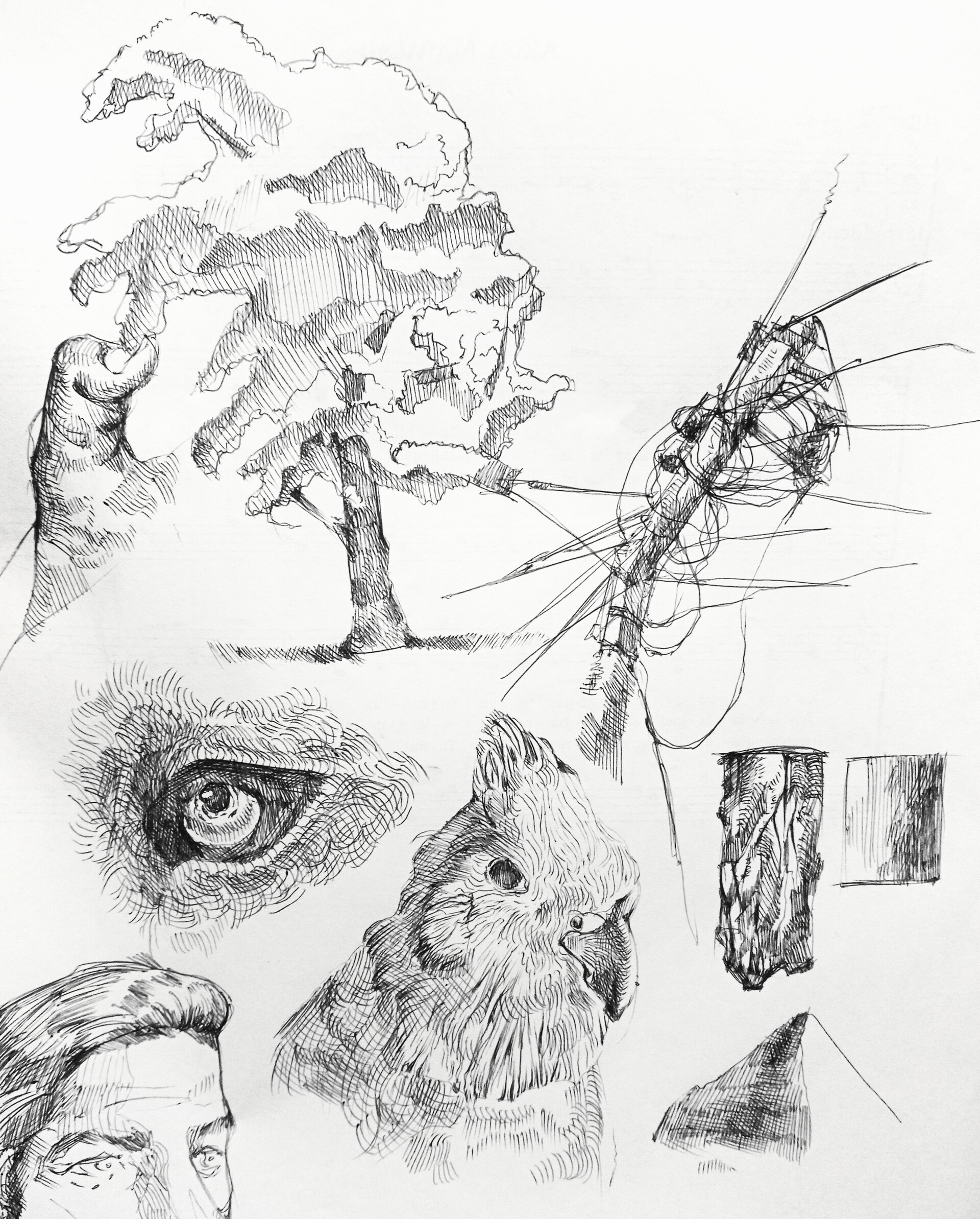 ArtStation - Warm-up sketch