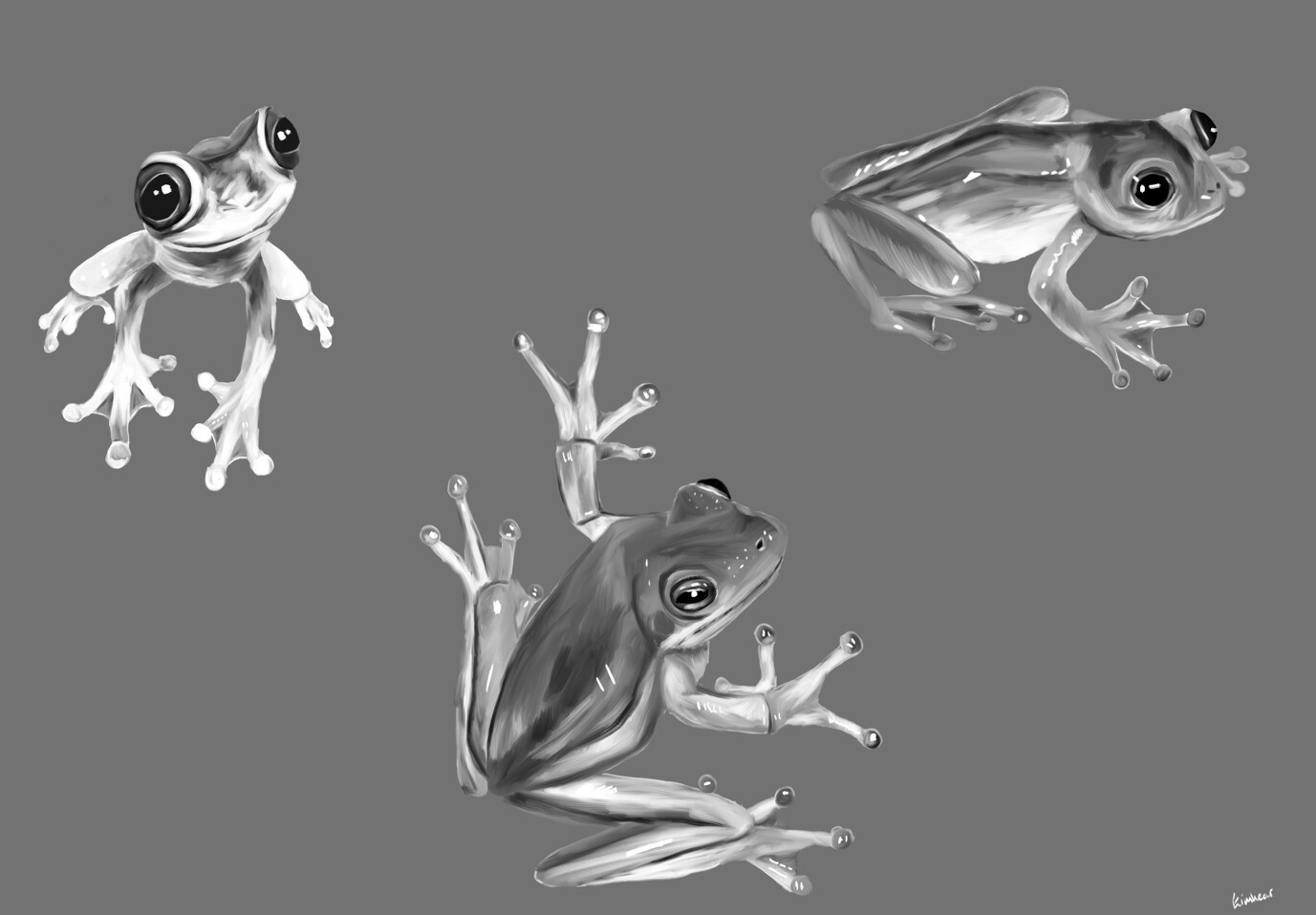 ArtStation - Frog Studies