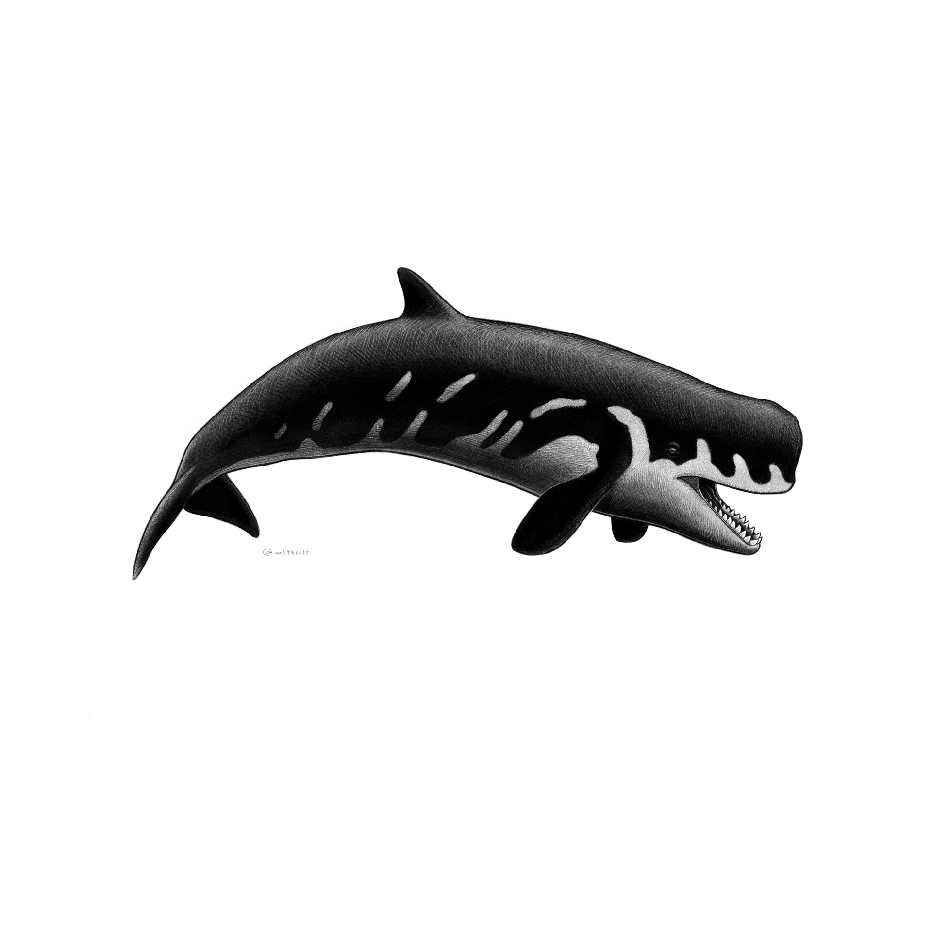 ArtStation - Leviathan