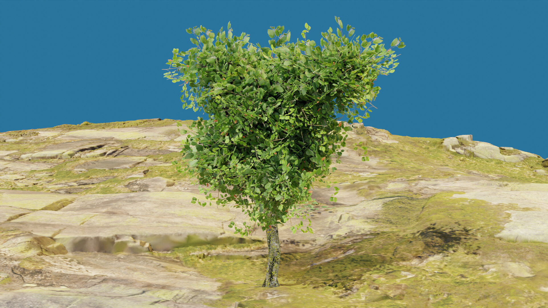 ArtStation - Simple Tree