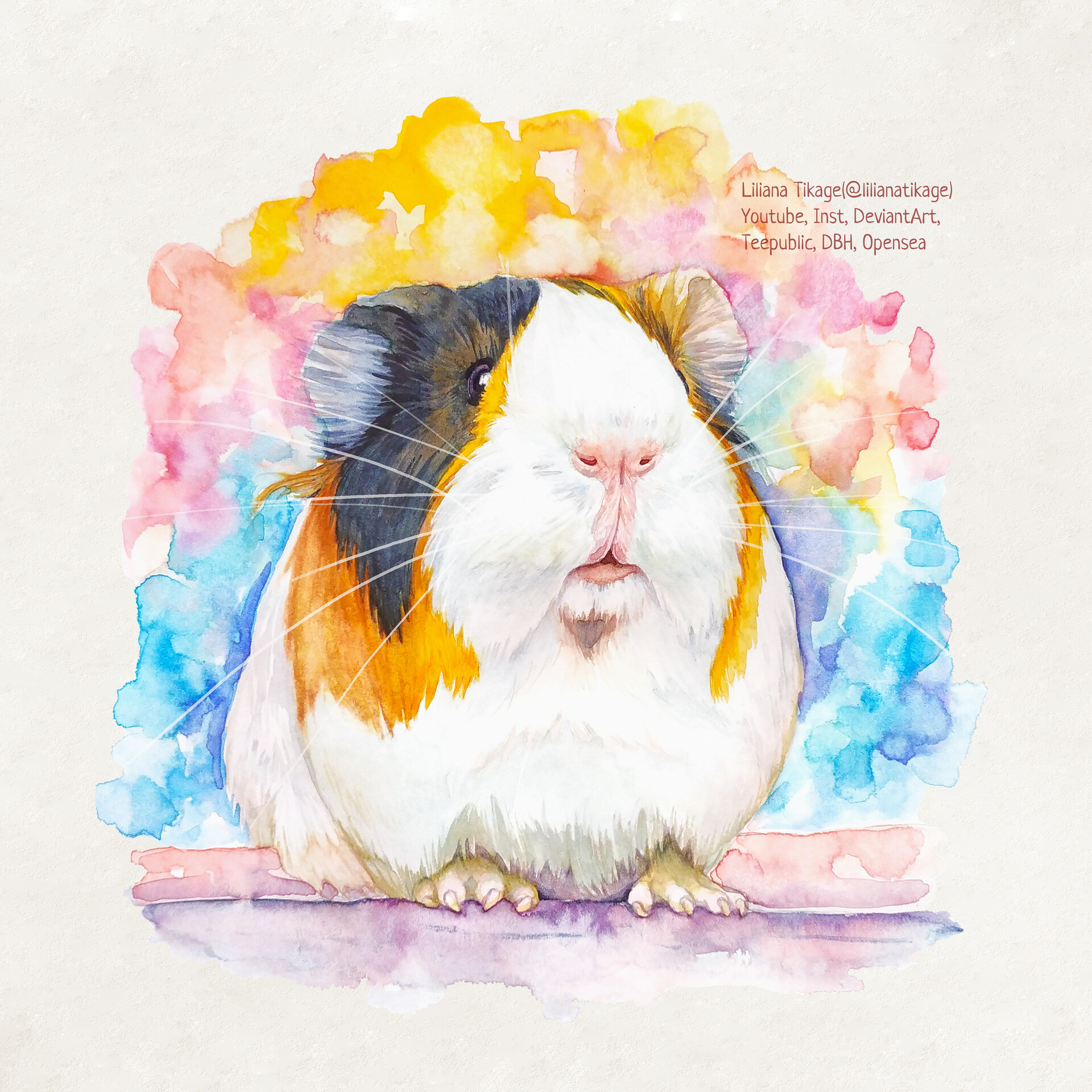 ArtStation - Watercolor Guinea Pig