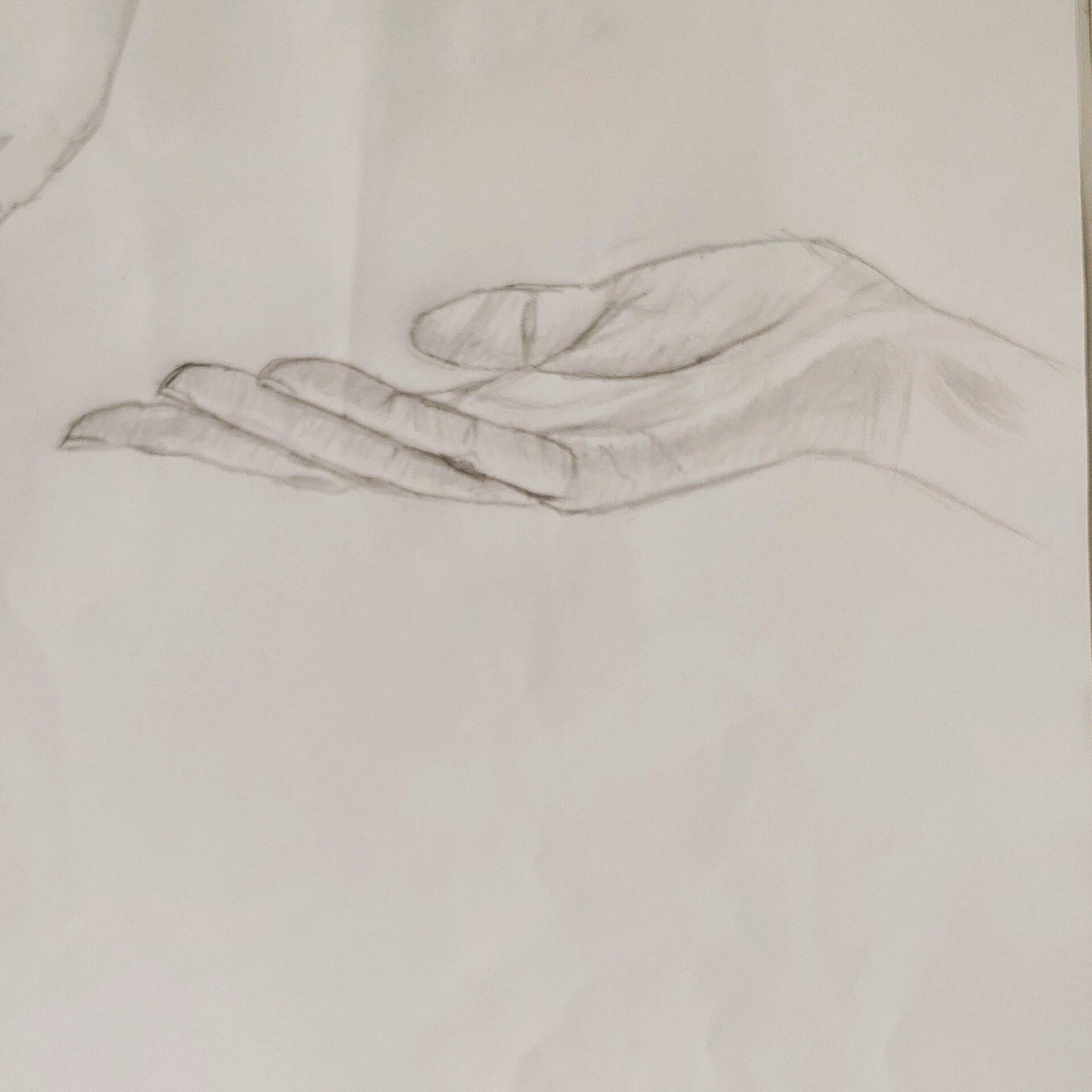 ArtStation - Drawing hands day 3