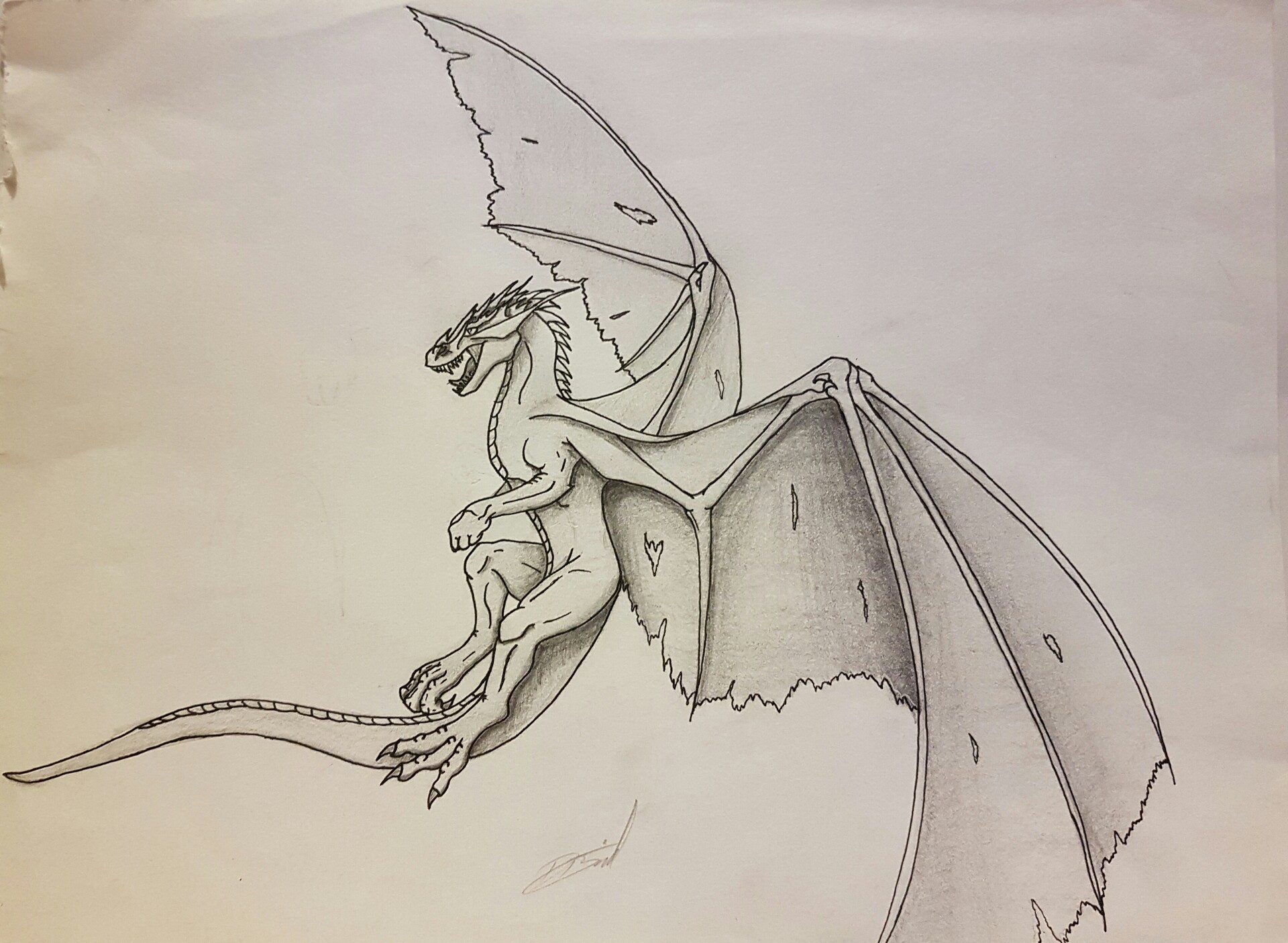 Flying Dragon Drawings In Pencil