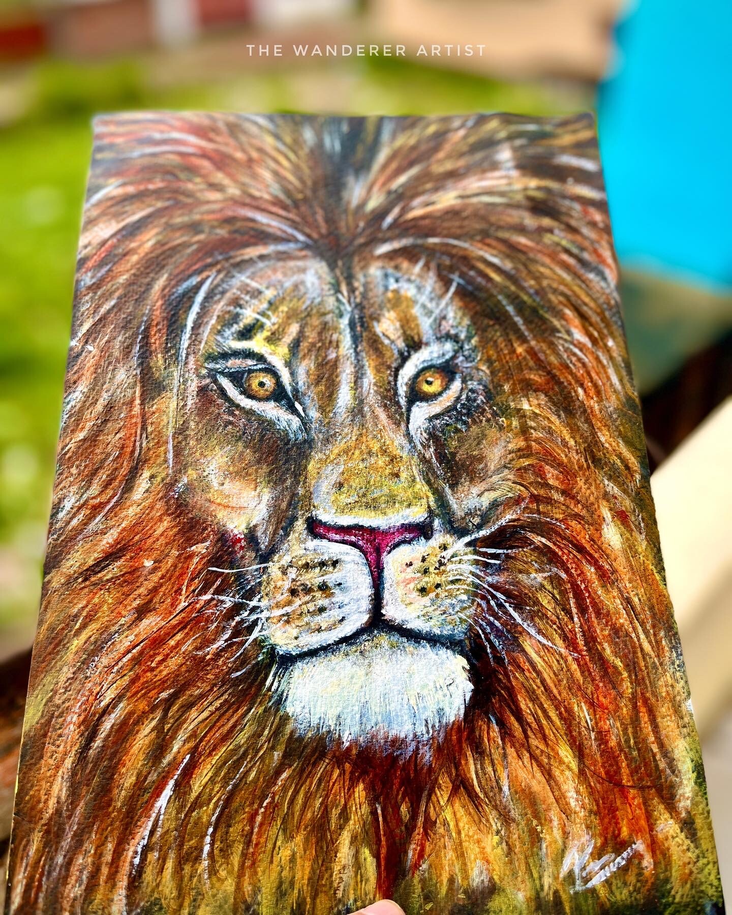 Priyank Deep Singh - The vibe of The Lion