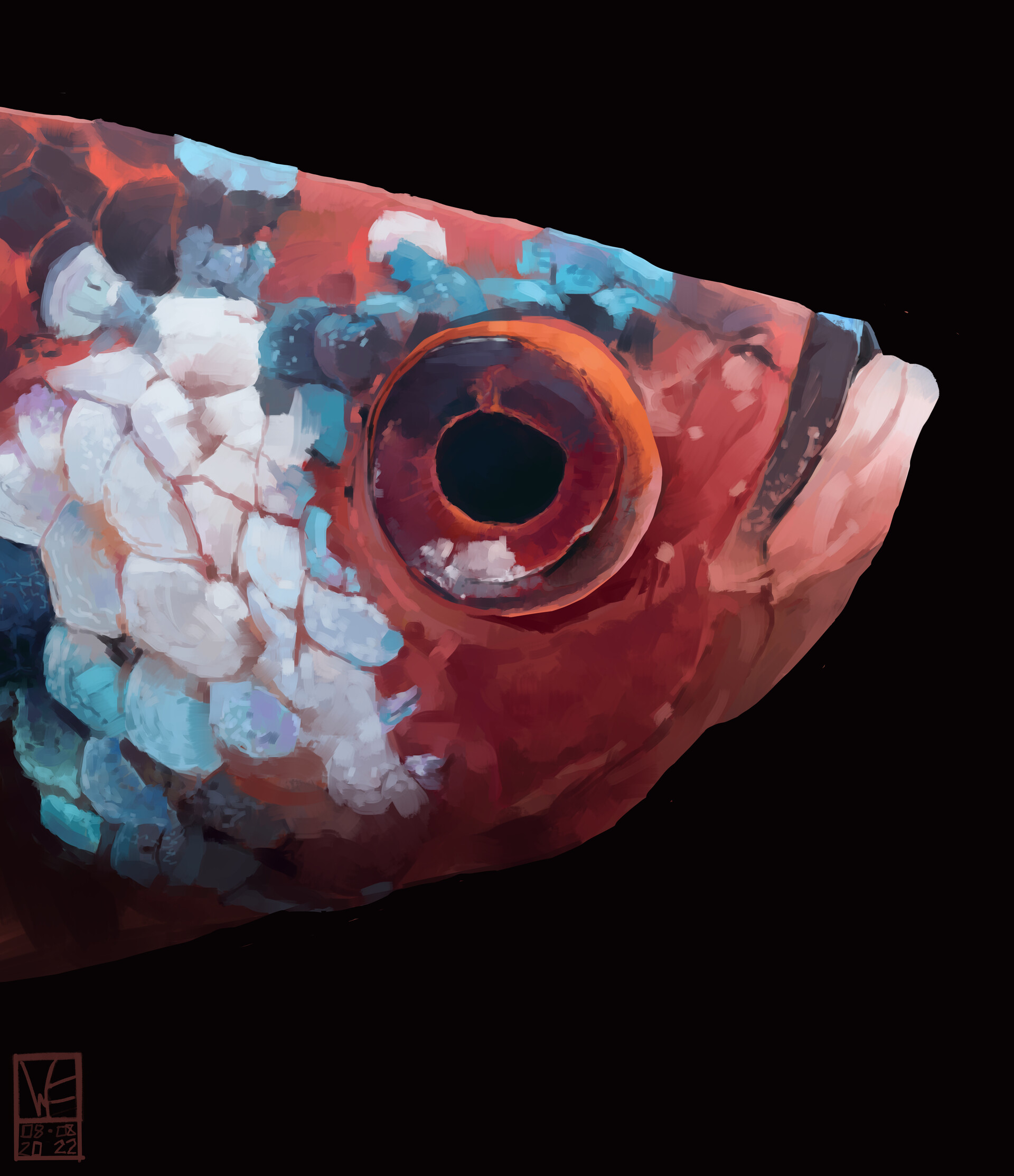 ArtStation - Fish study