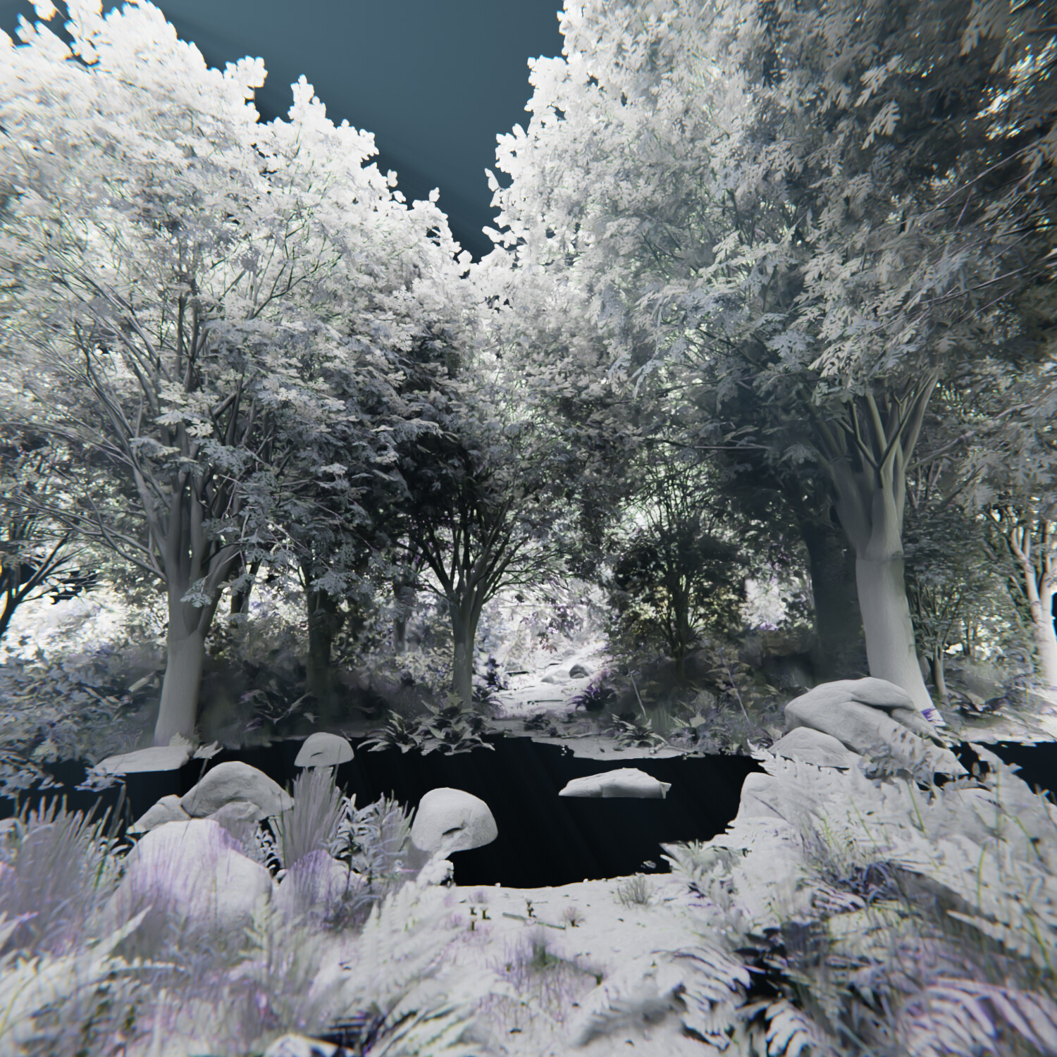 Jeremy Nelson - Photorealistic 3D Forest in Blender