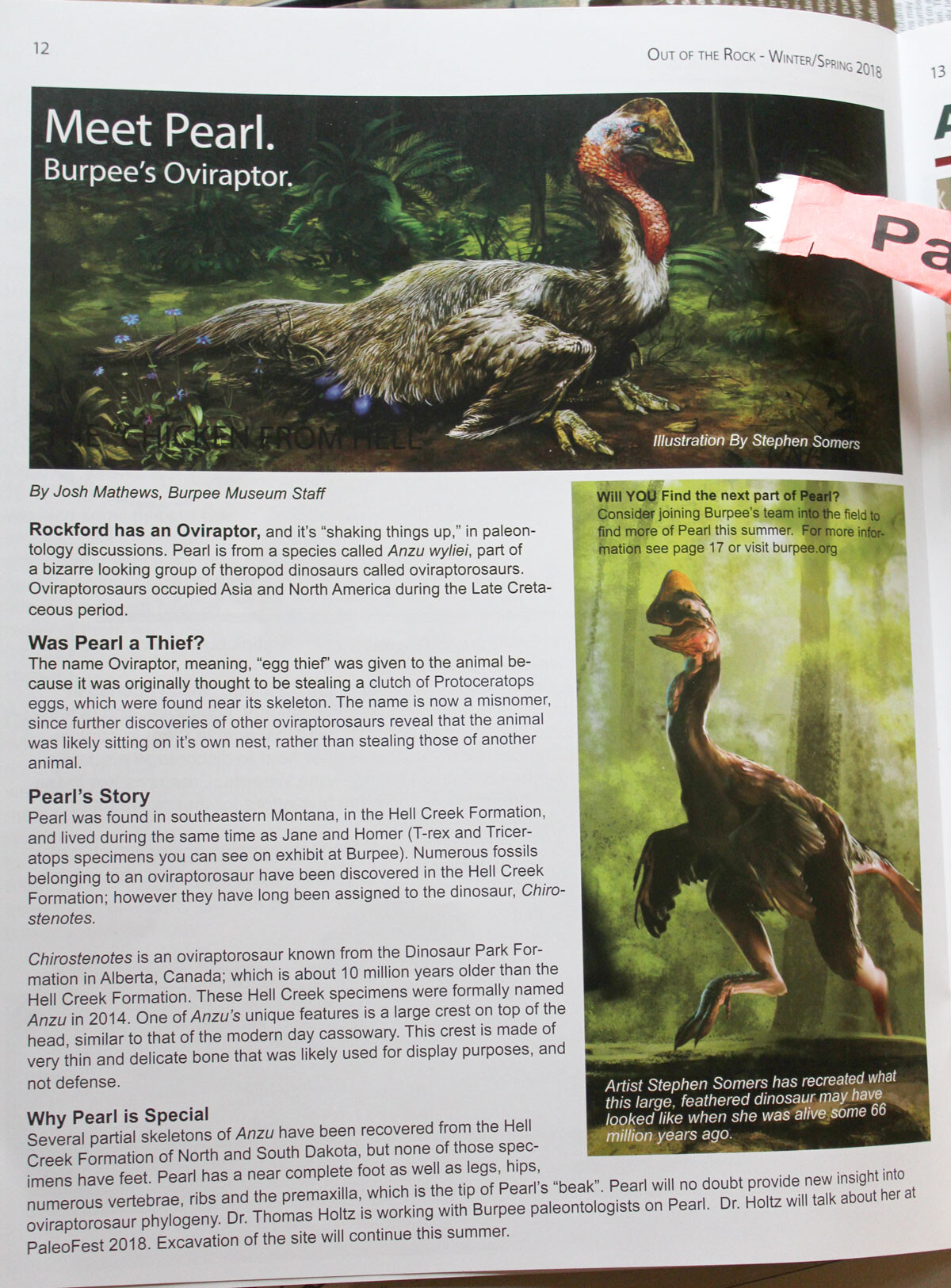 Stephen Somers - Pearl the Anzu Wyliei for Paleofest