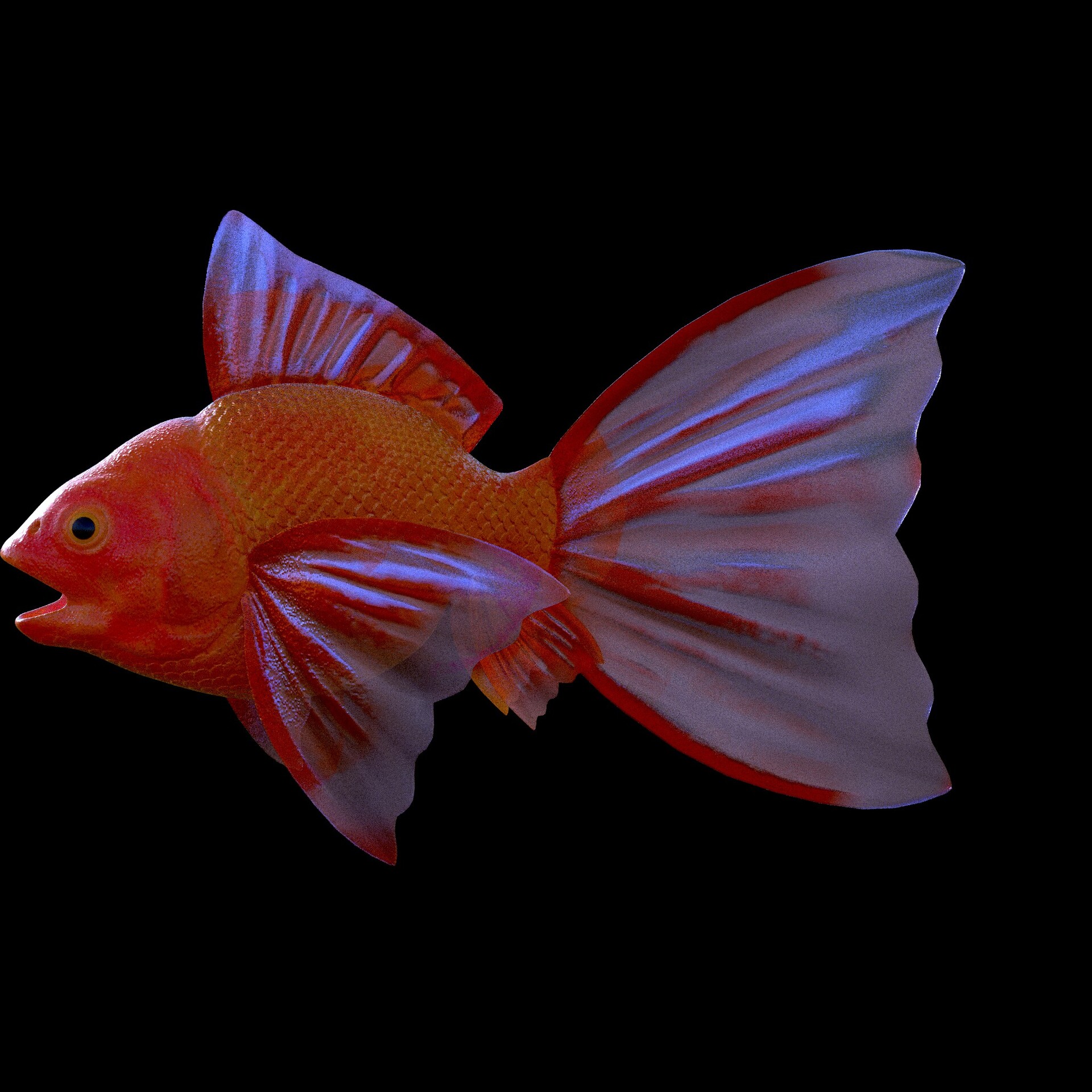 Purple Fantail Goldfish