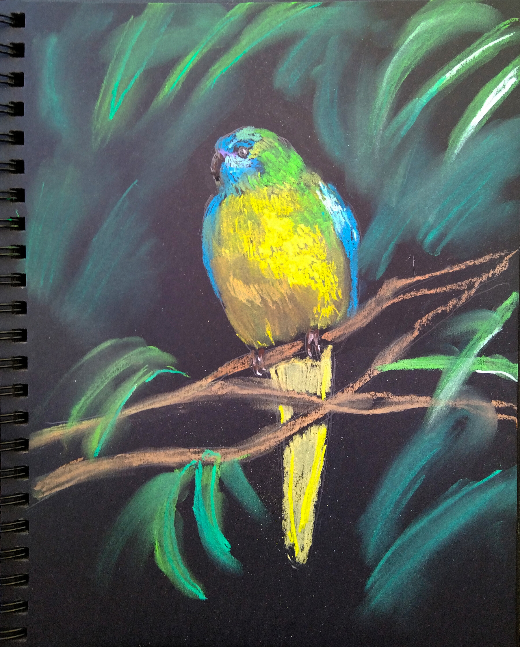 ArtStation - Turquoise Parrot - soft pastel