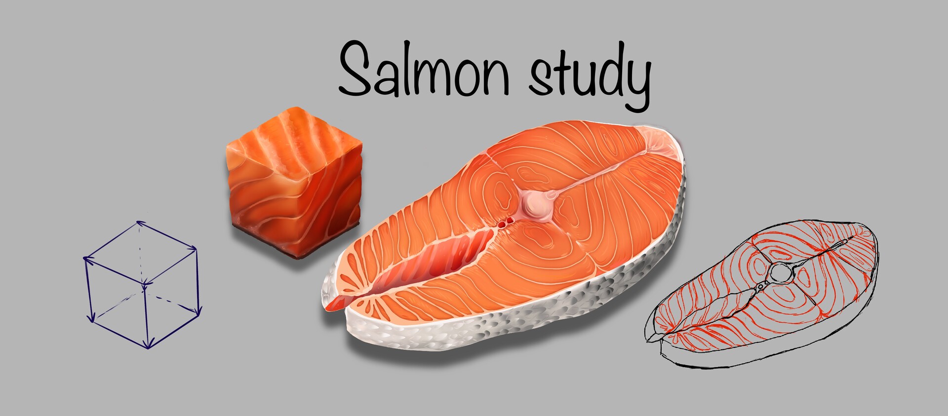 ArtStation - SALMON STUDY