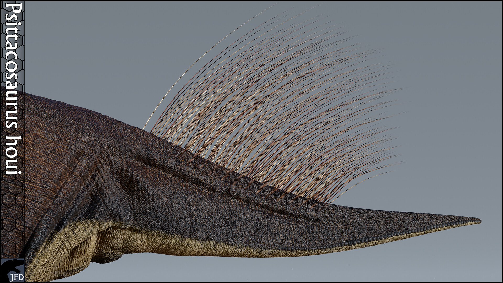 Psittacosaurus Feathers