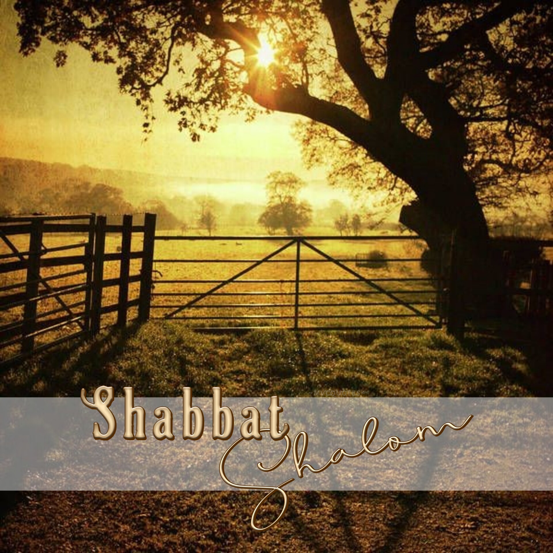 ArtStation - Shabbat Shalom 1