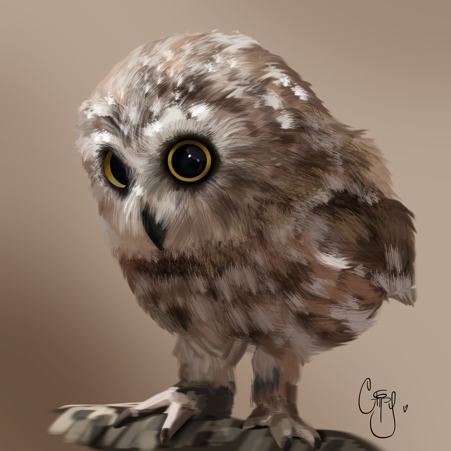 ArtStation - Owl illustration