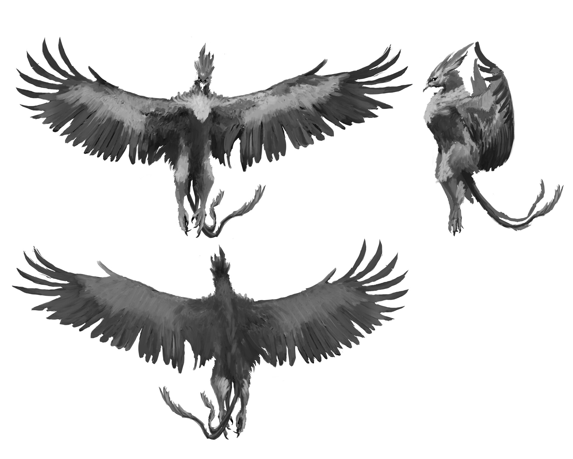 ArtStation - phoenix