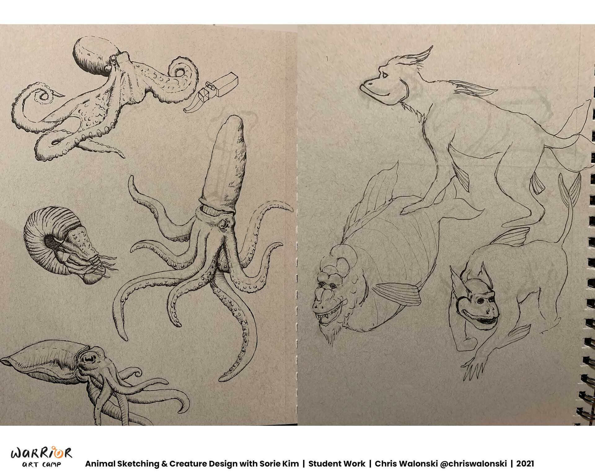 ArtStation - Chris Walonski | Animal Sketching & Creature Design with ...