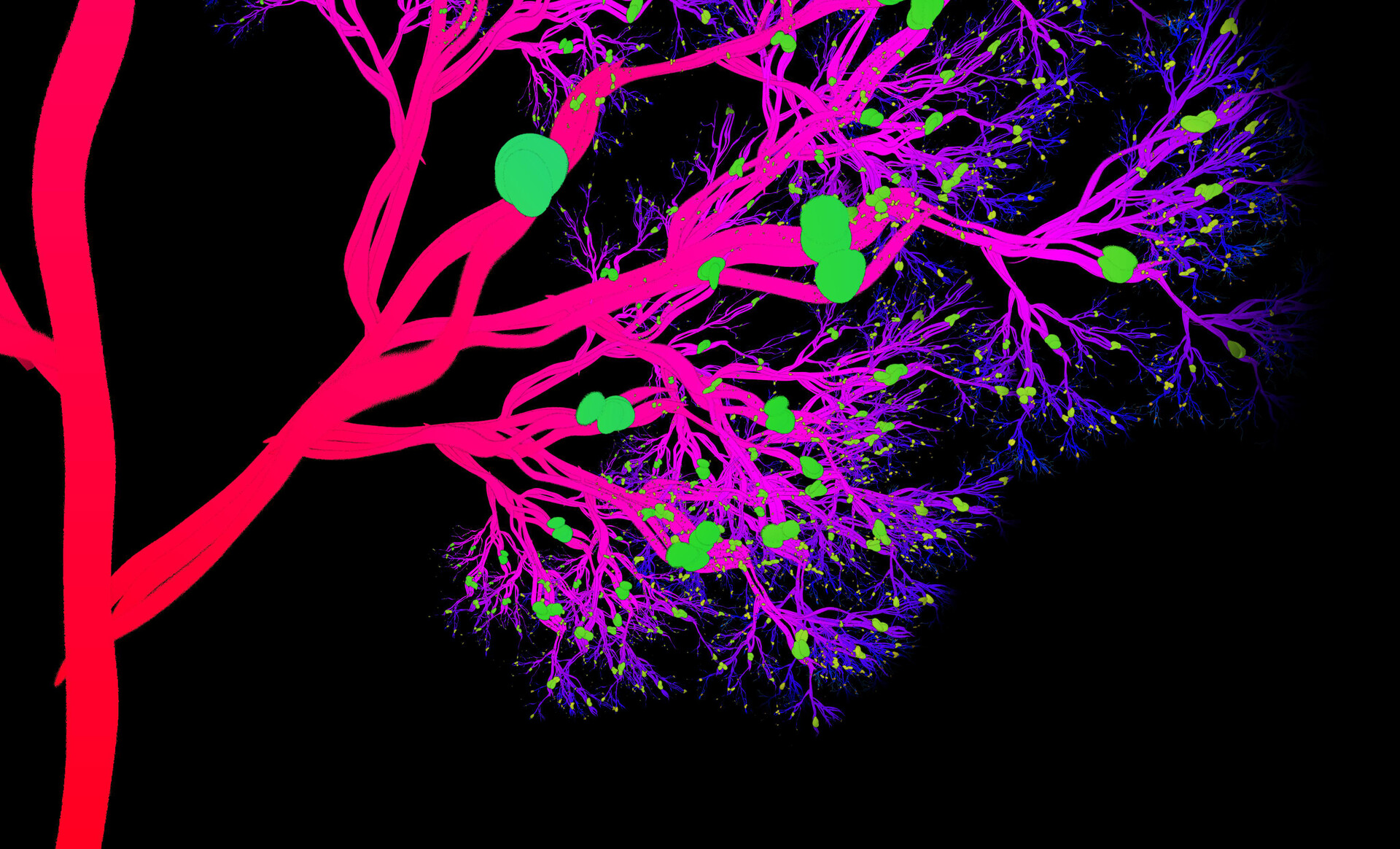 ArtStation - Simulating Iterative Fractal Growth - Substance Designer ...