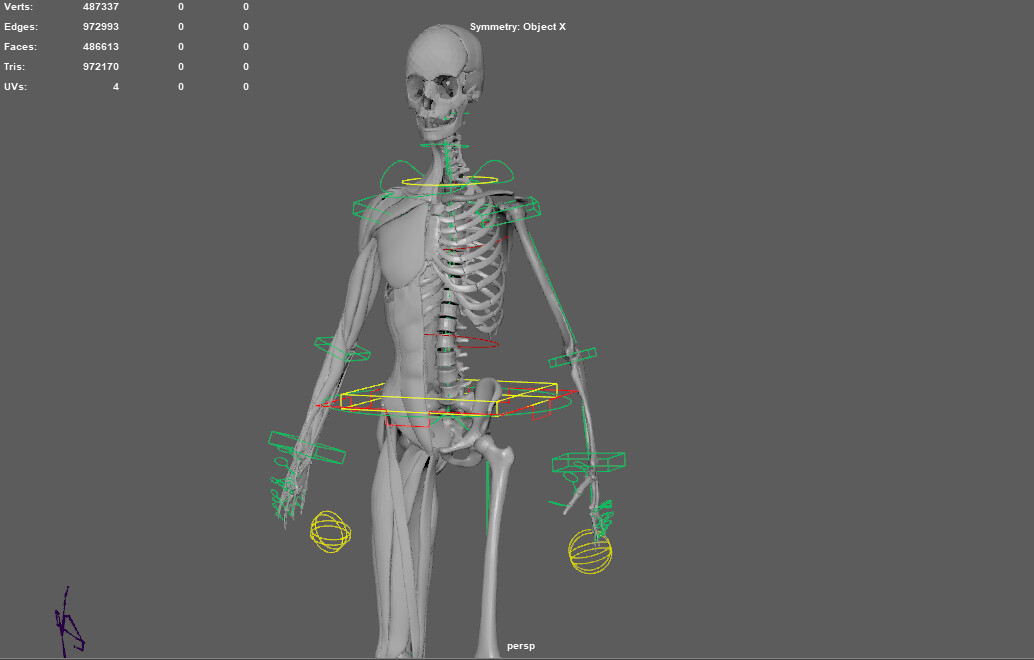 ArtStation - Skeleton Rig
