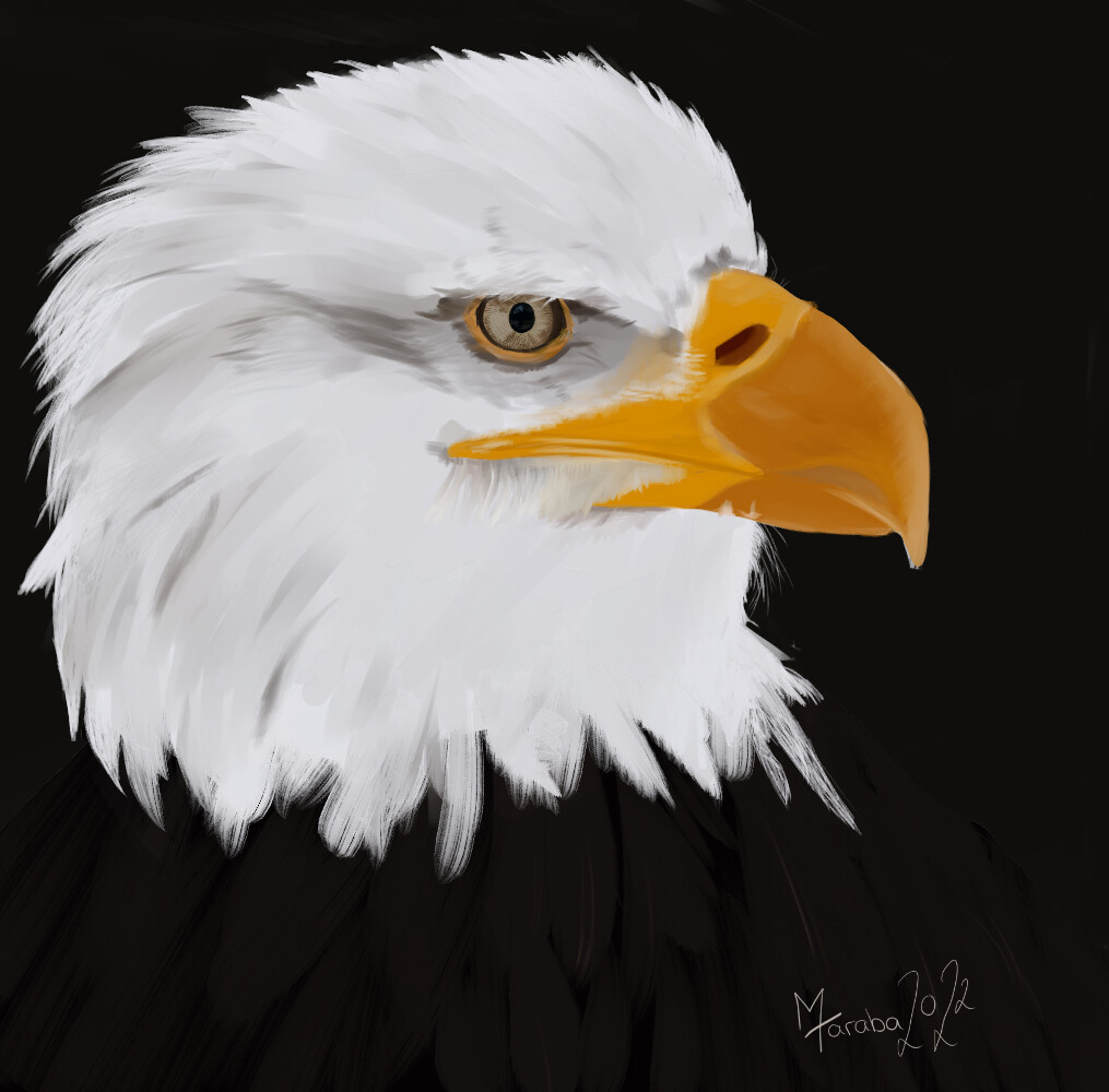 ArtStation - Bald Eagle