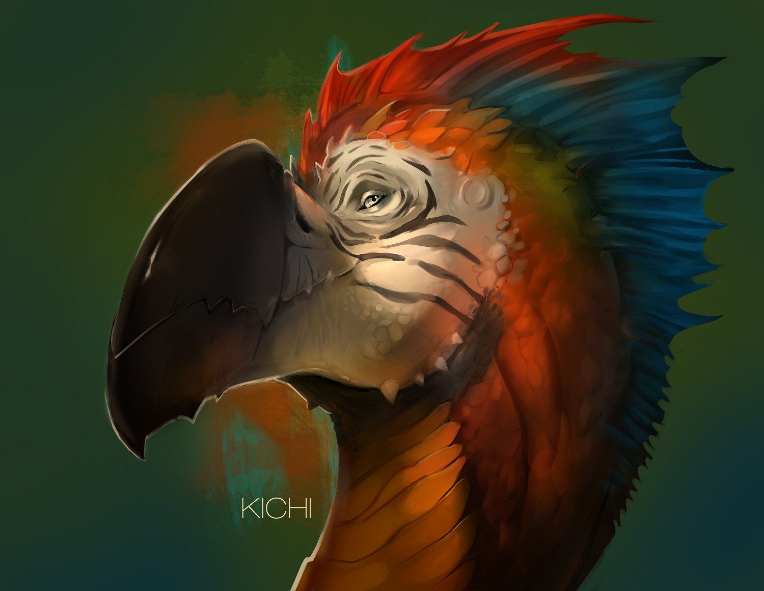 ArtStation - Macaw Dragon
