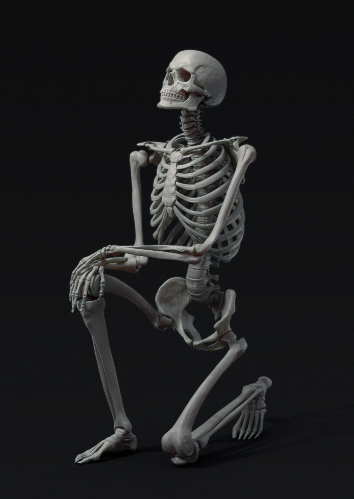Human Skeleton Drawing Pose Skeleton Sitting On The Floor With Bones