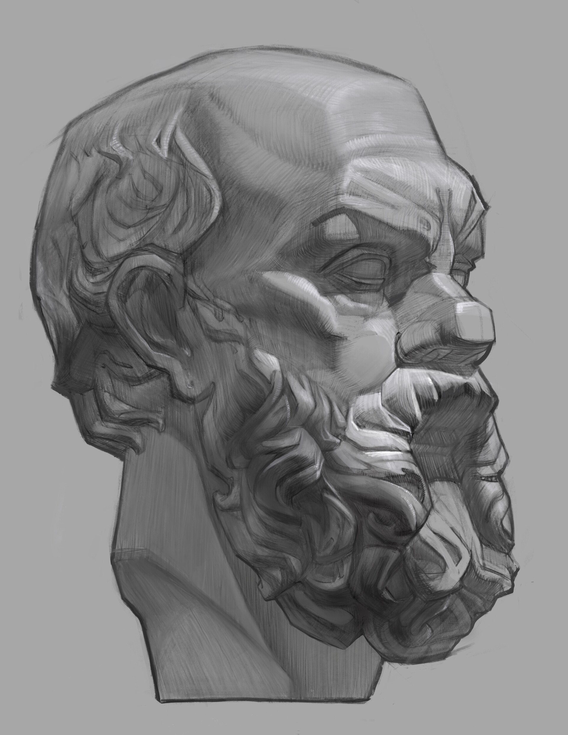 ArtStation - Socrates' head studies