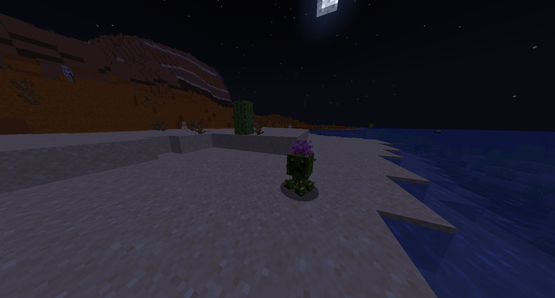 Axel [PincerProd] - Baby Cactus Creeper