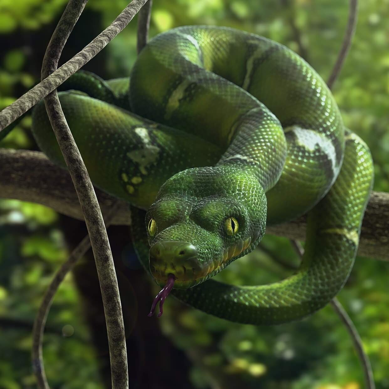 ArtStation - Green tree python