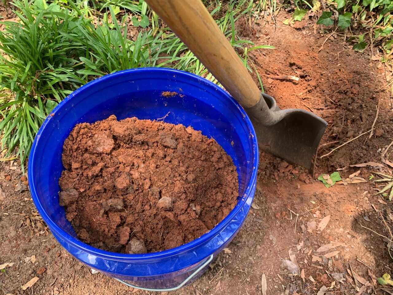 Grace Kooken - Wild Clay 2021