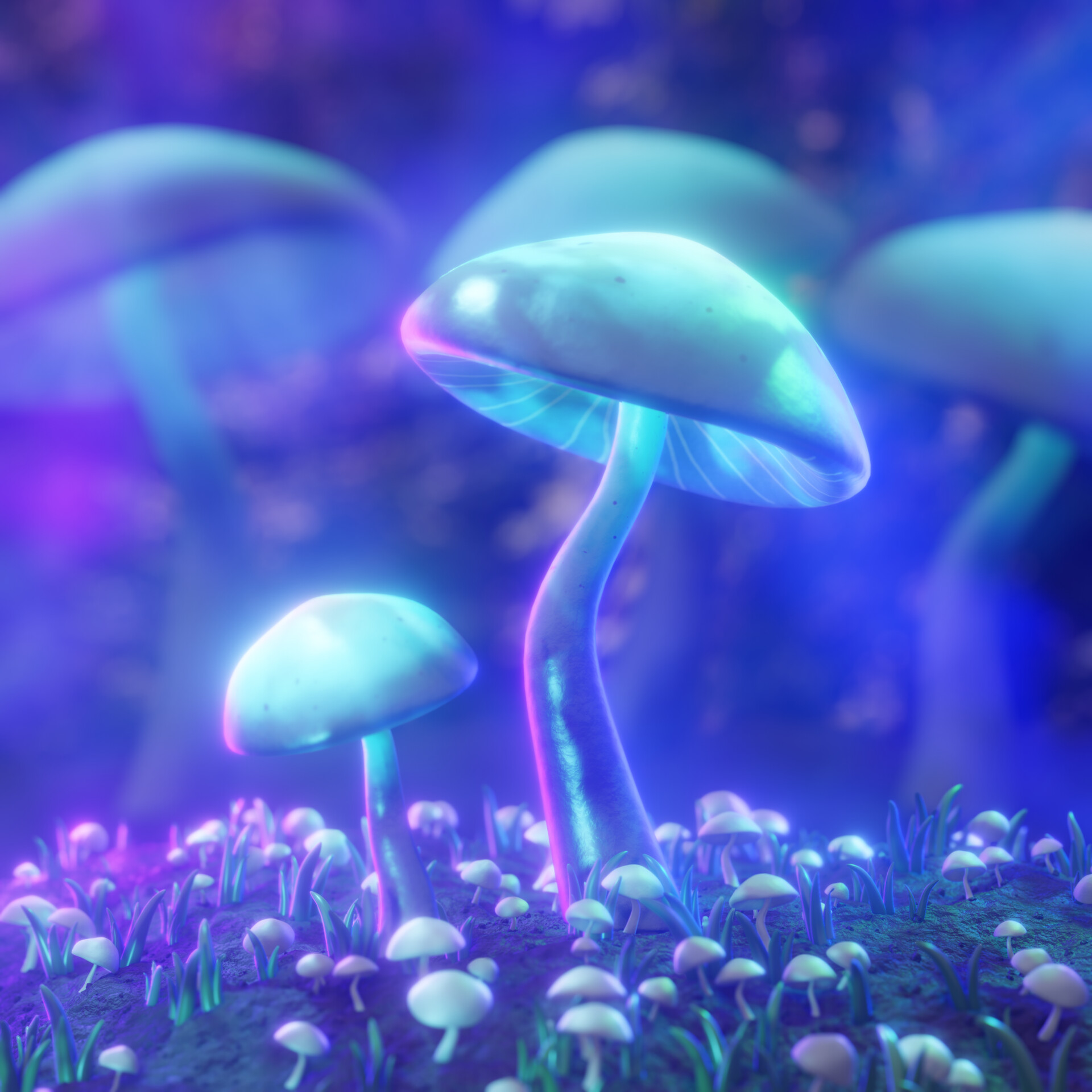 ArtStation - Magical mushrooms