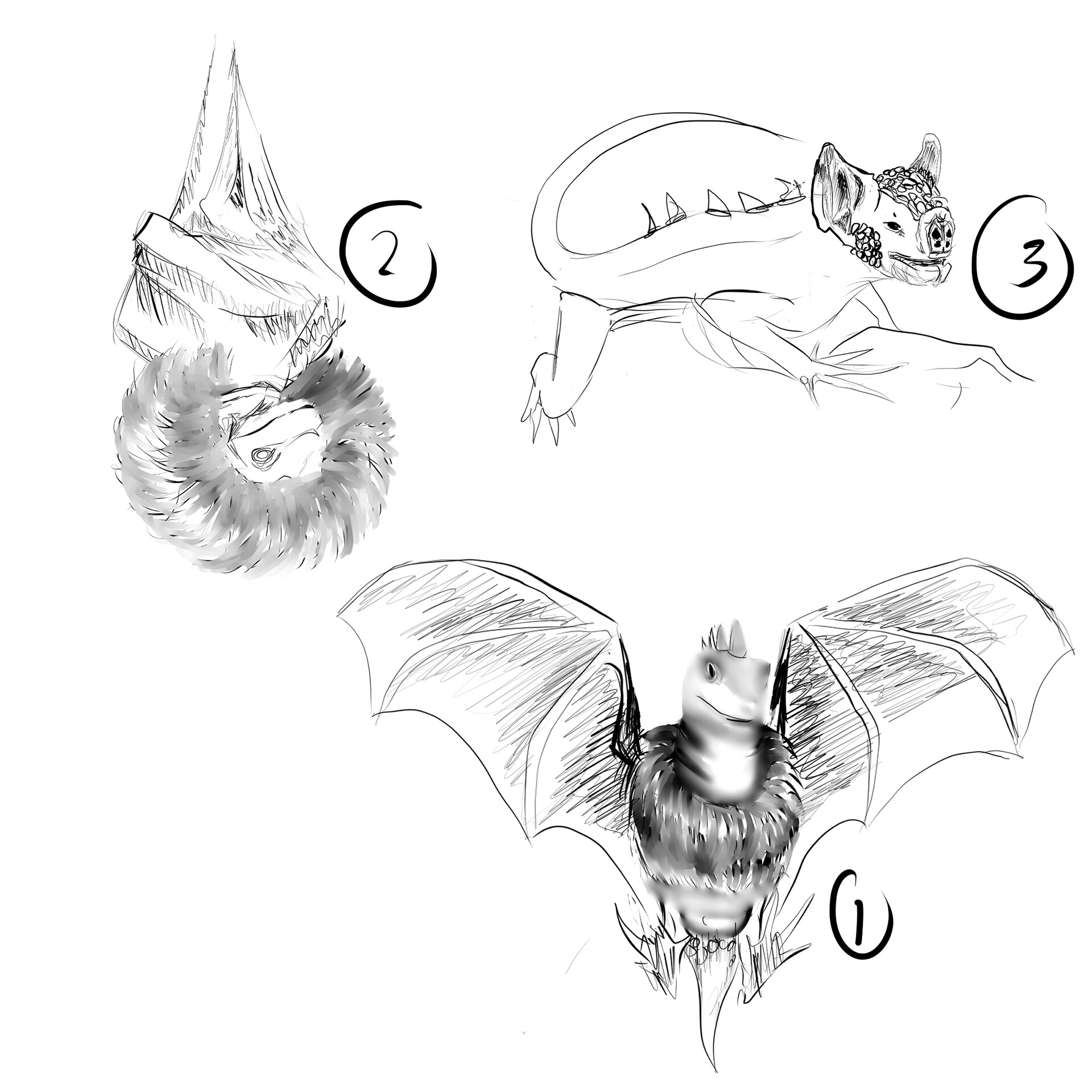 Nacahri Murphy - Chimera - Bat/Lizard Design