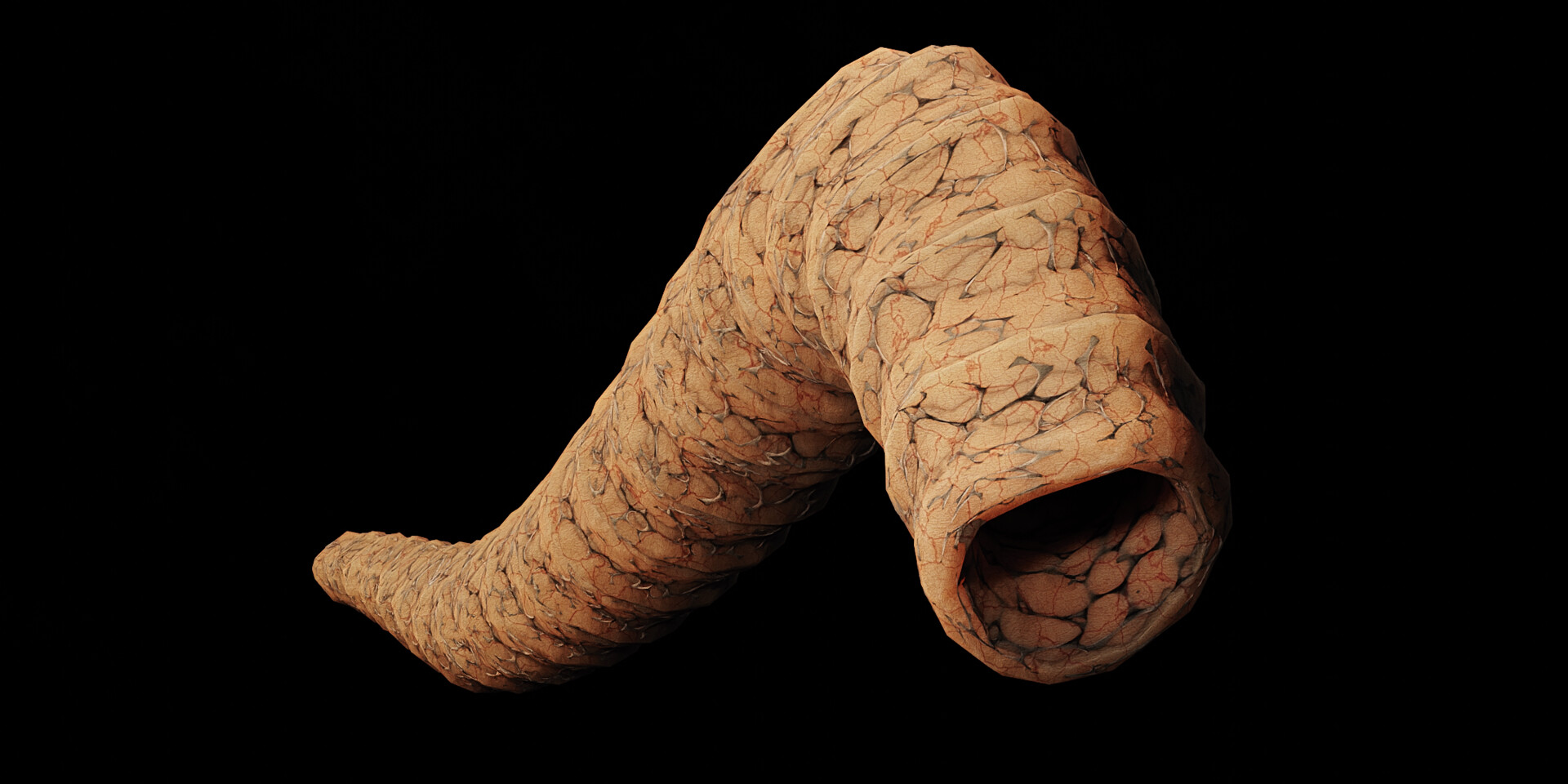 ShoesForBees - Trypophobia