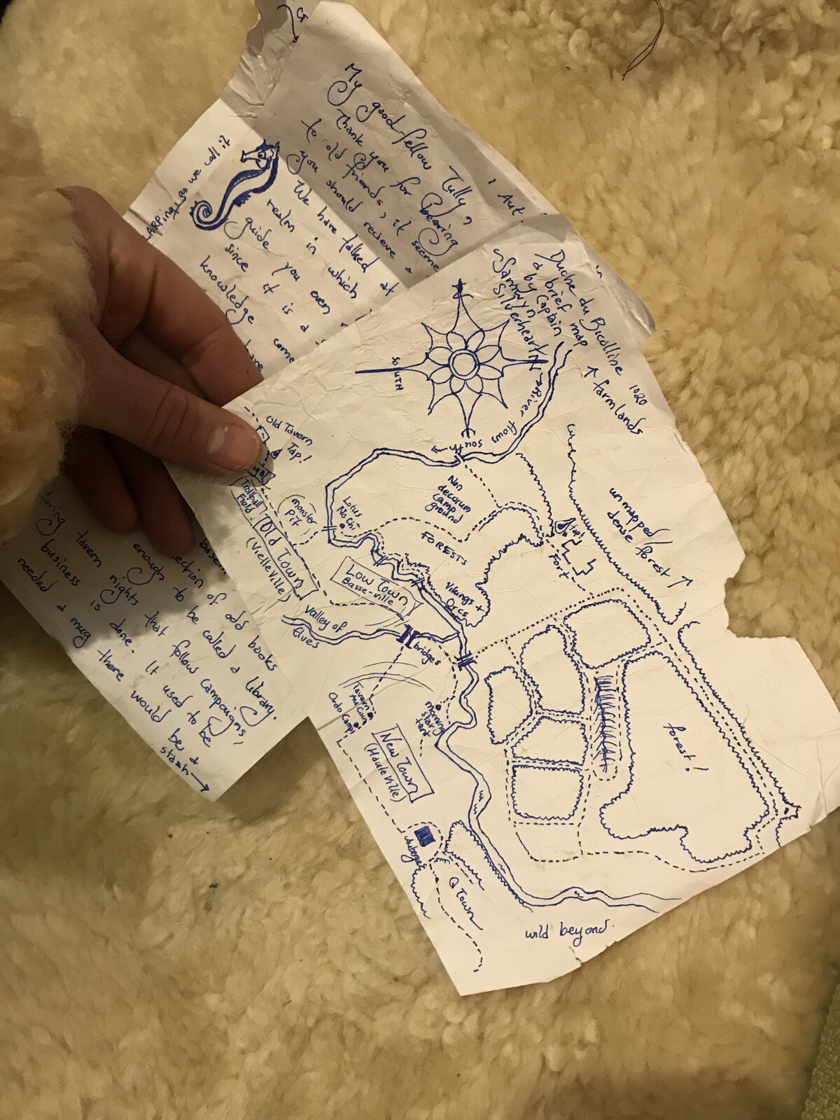 Sámhlaoch Swords - A hand inked paper map of Bicolline Duchy