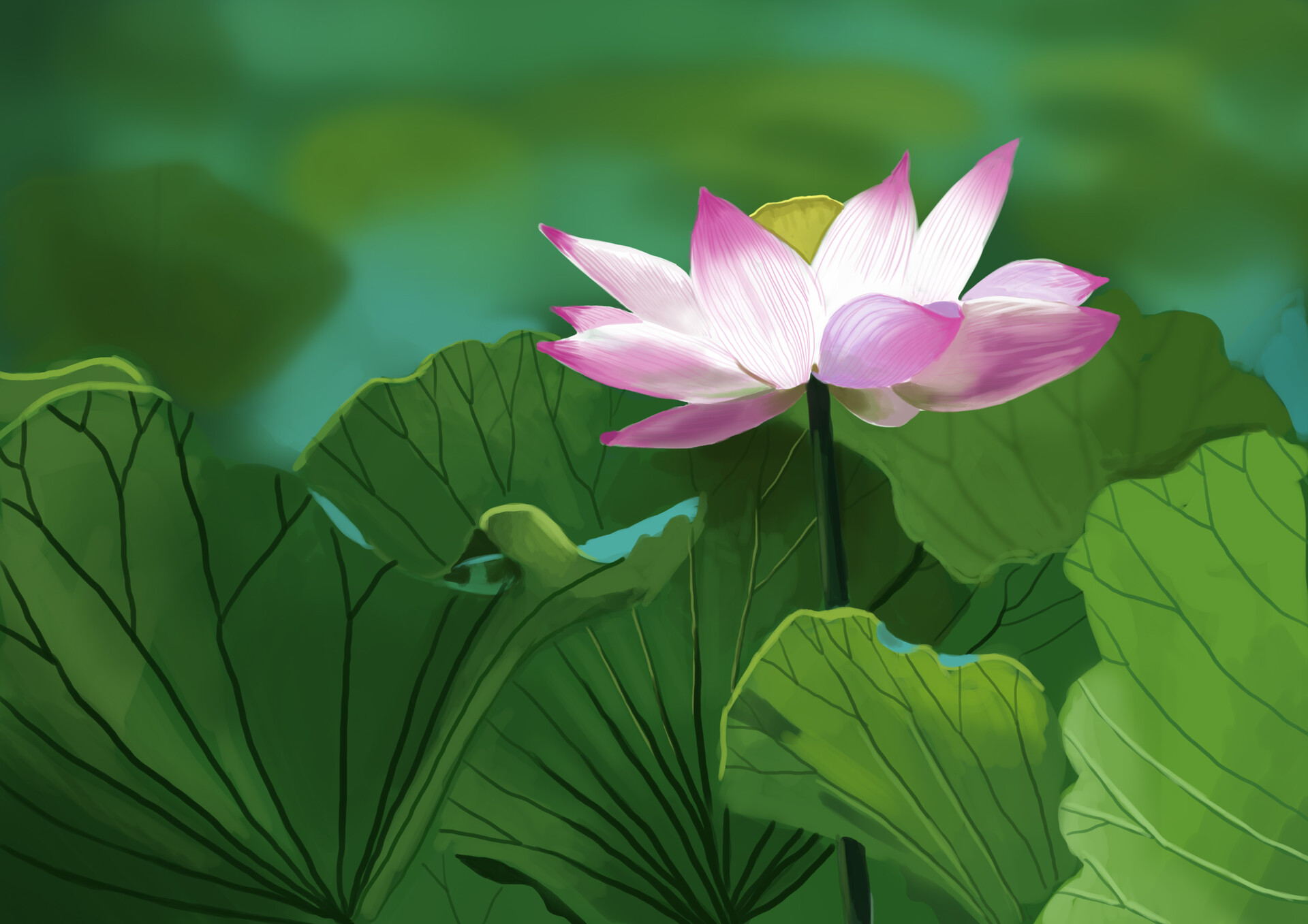 ArtStation - Lotus study