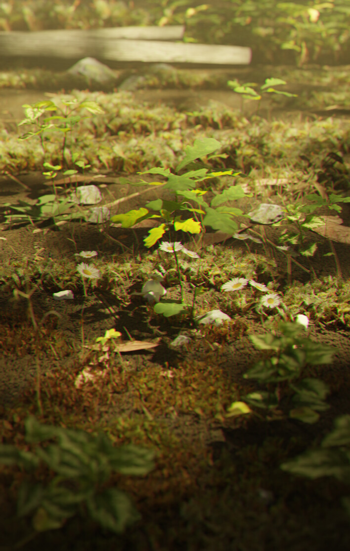 ArtStation - Nature Closup