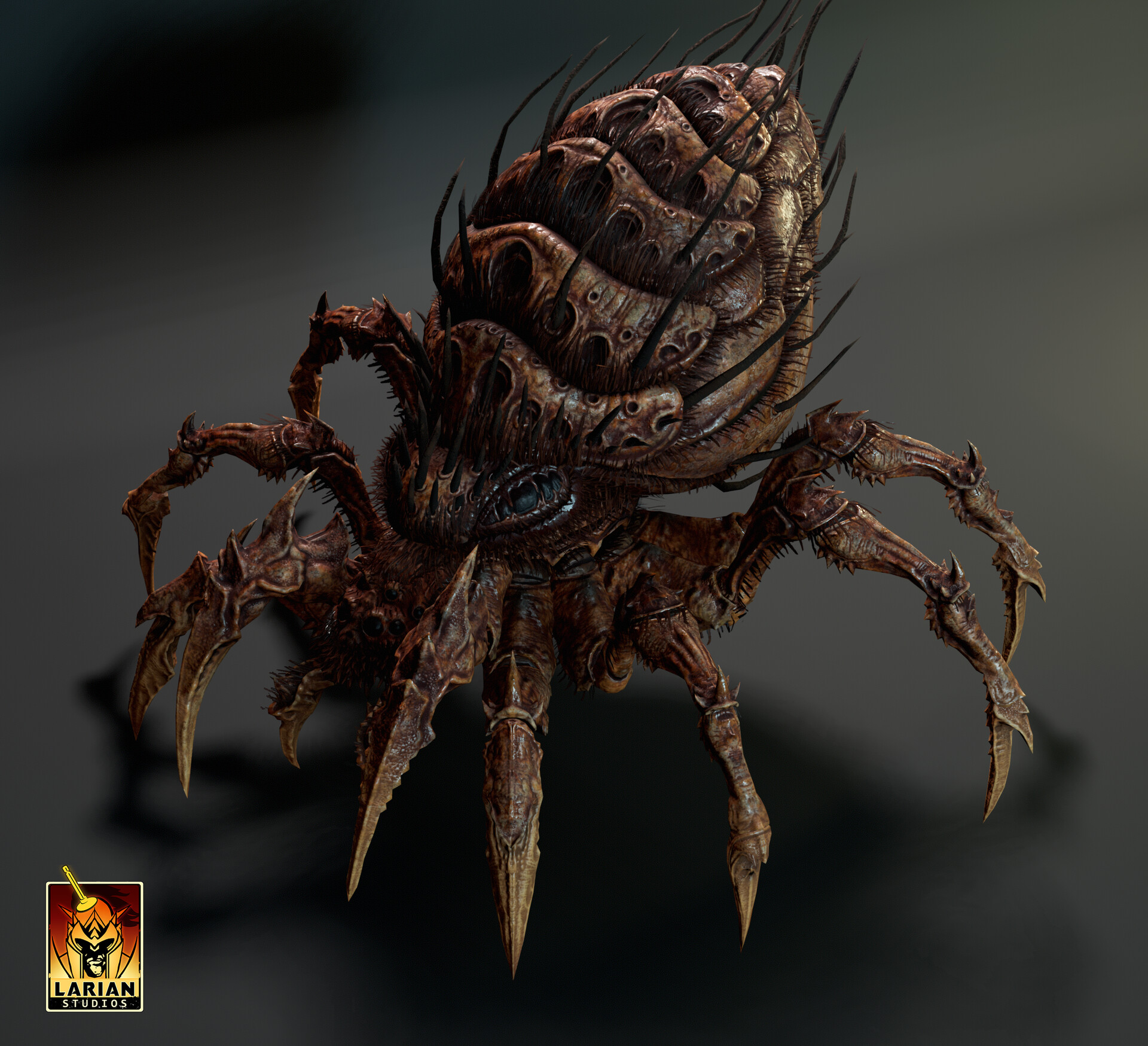 ArtStation - Spider research