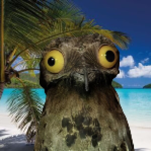 ArtStation - The Pixel Bird