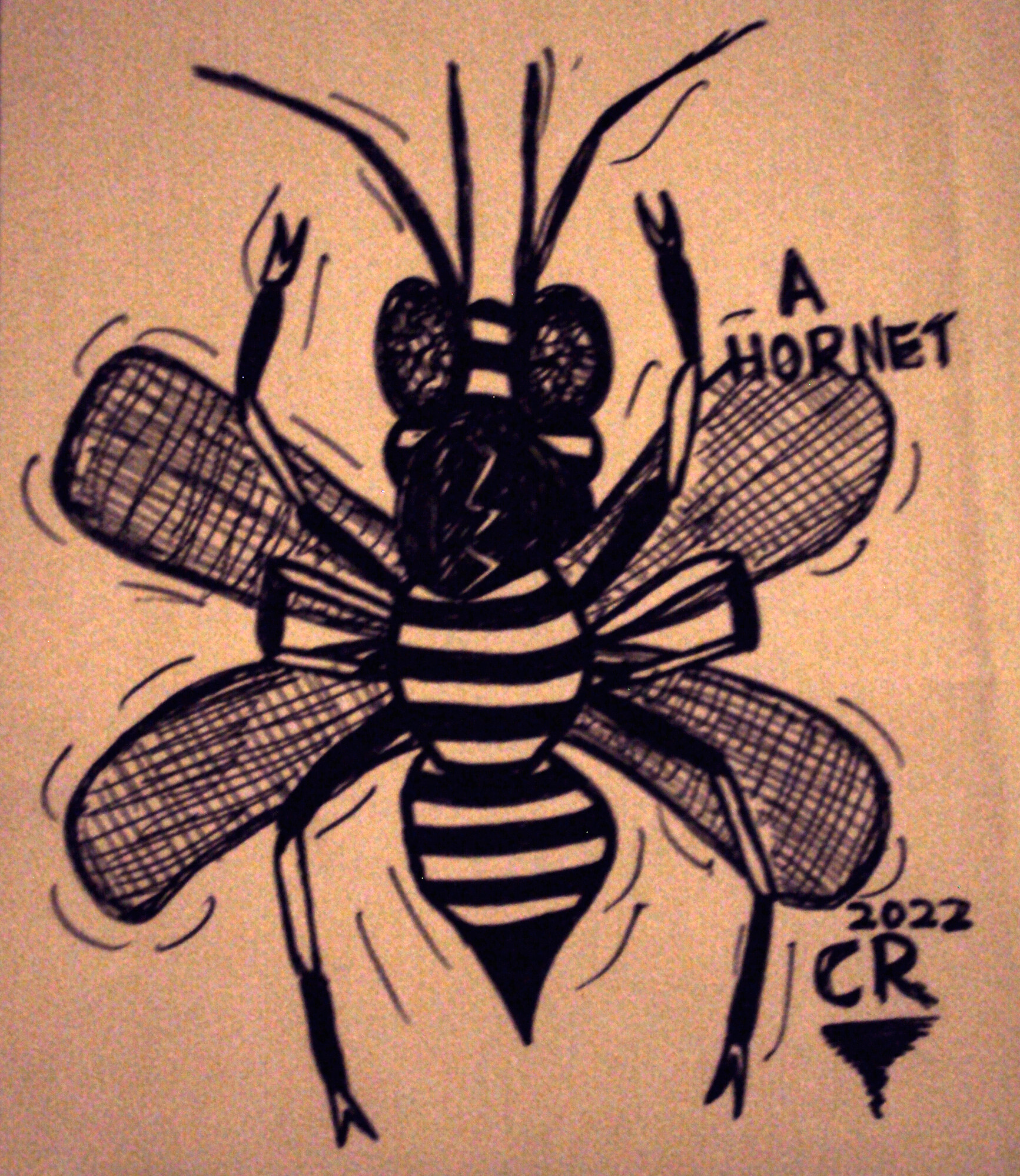 ArtStation - A Hornet