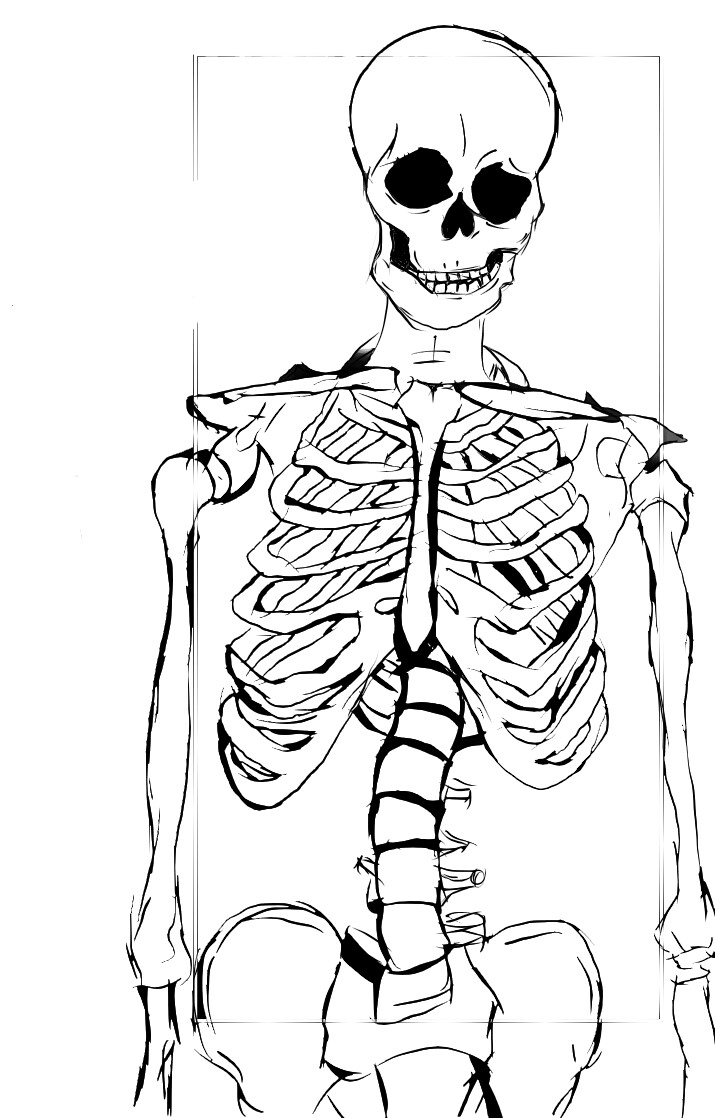 ArtStation - Skeleton drawing