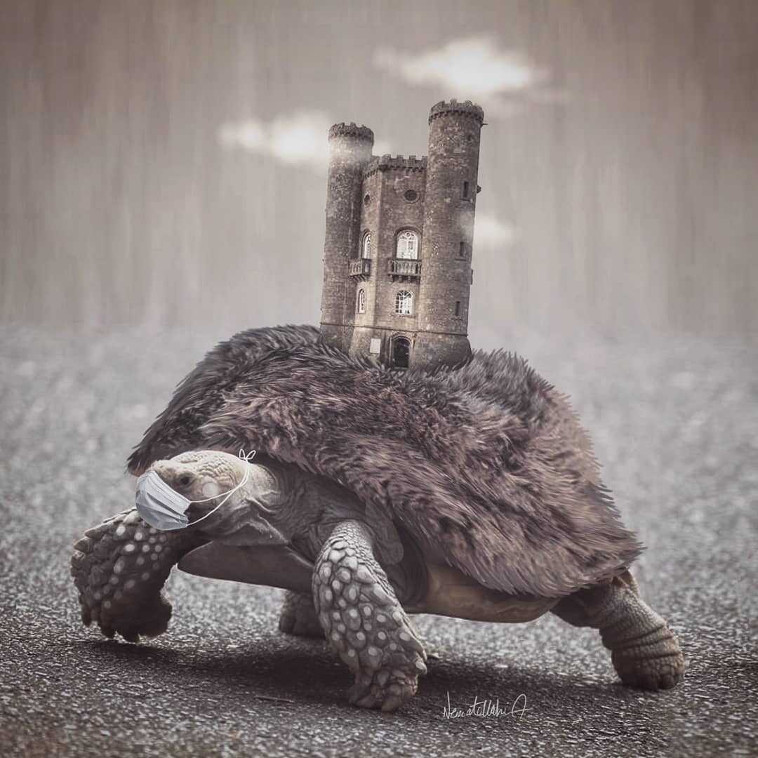 ArtStation - Heavy turtle