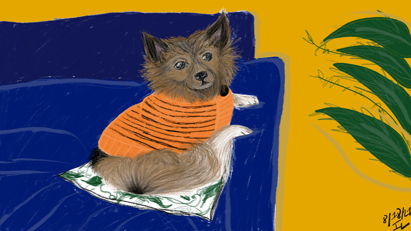 ArtStation - Isabella Lin