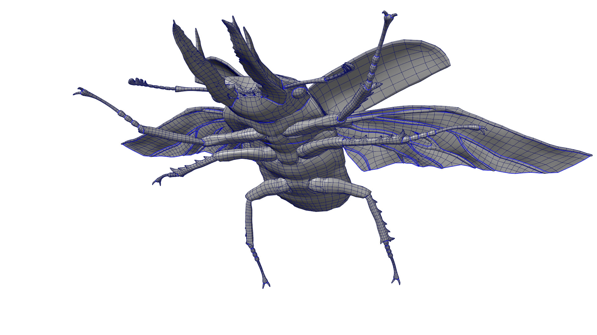 KAZUKI MATOBA - Allotopus Rosenbergi