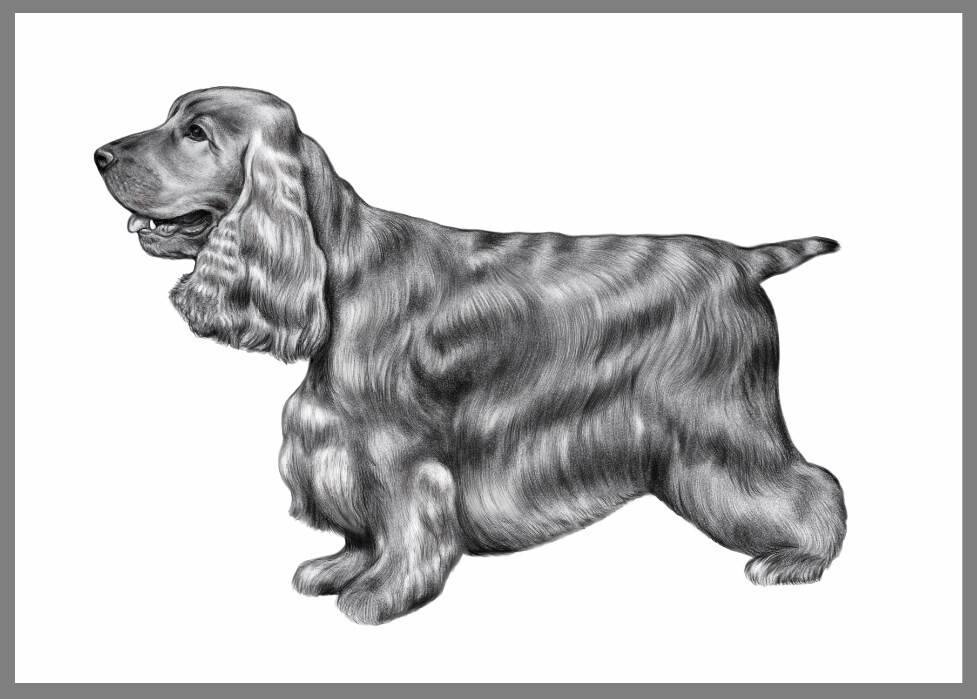 ArtStation - spaniel