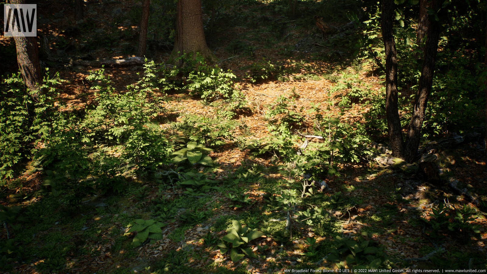 MAWI United - UE5 Broadleaf Forest V4 Runtime Demo