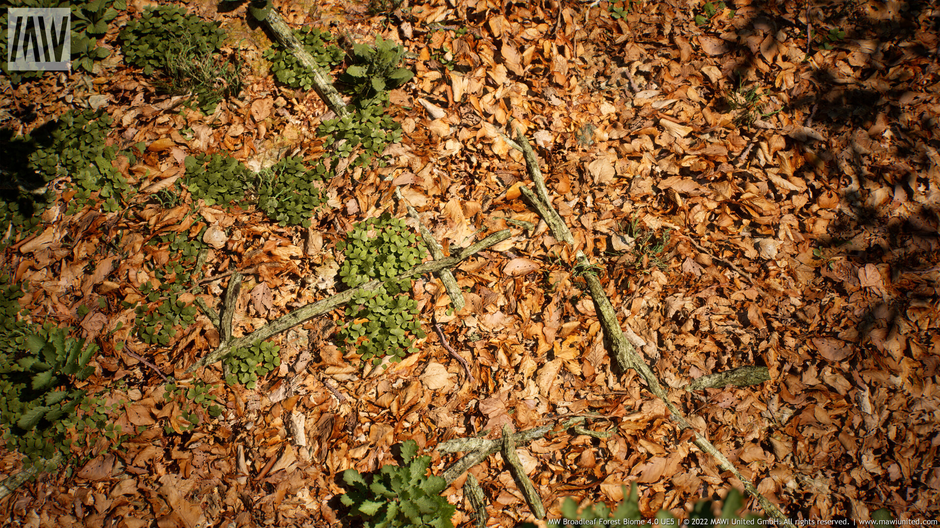 MAWI United - UE5 Broadleaf Forest V4 Runtime Demo