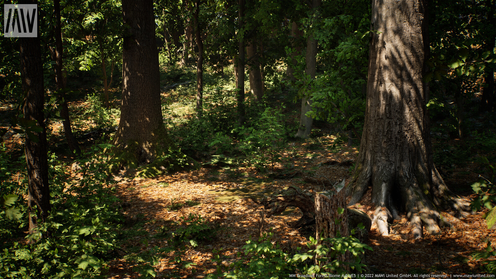 MAWI United - UE5 Broadleaf Forest V4 Runtime Demo