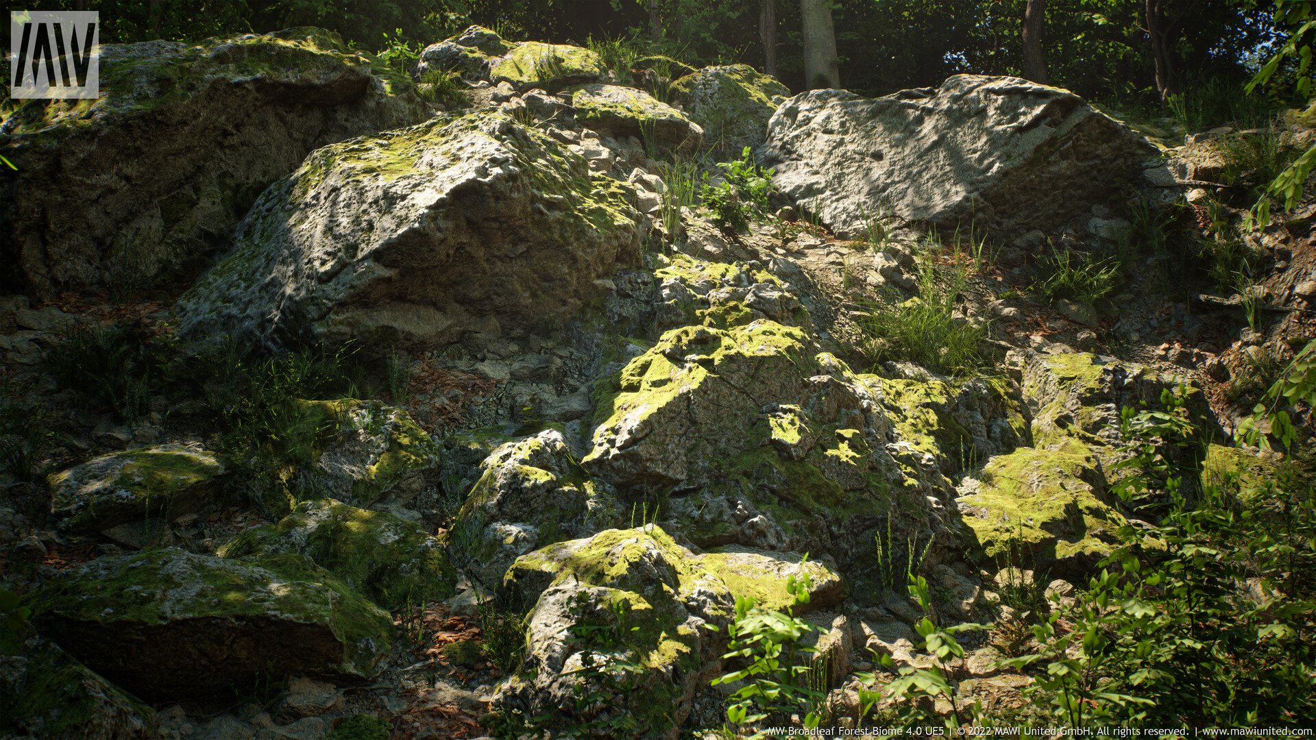 MAWI United - UE5 Broadleaf Forest V4 Runtime Demo