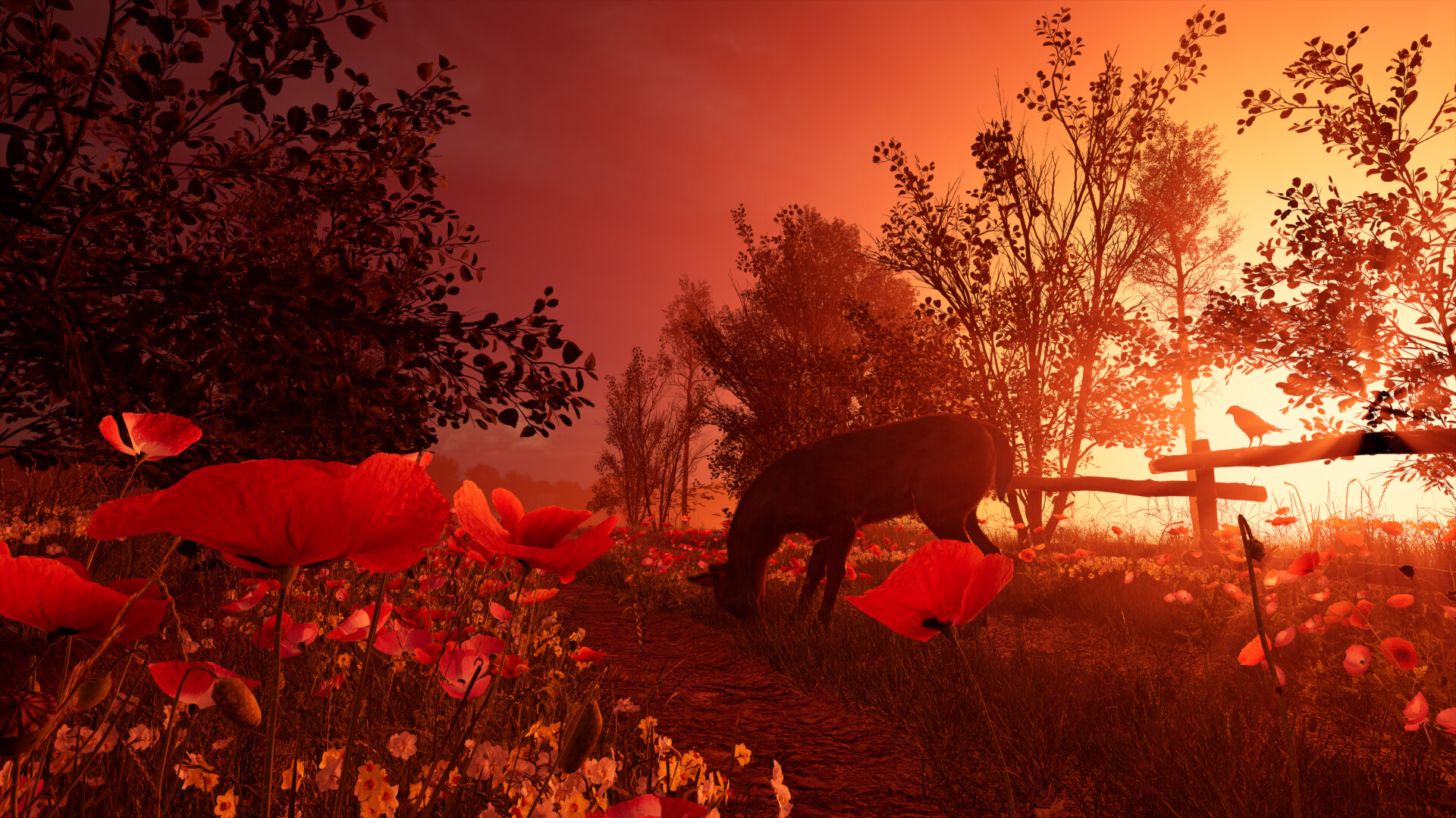 ArtStation - Poppy flowers, deer and crow