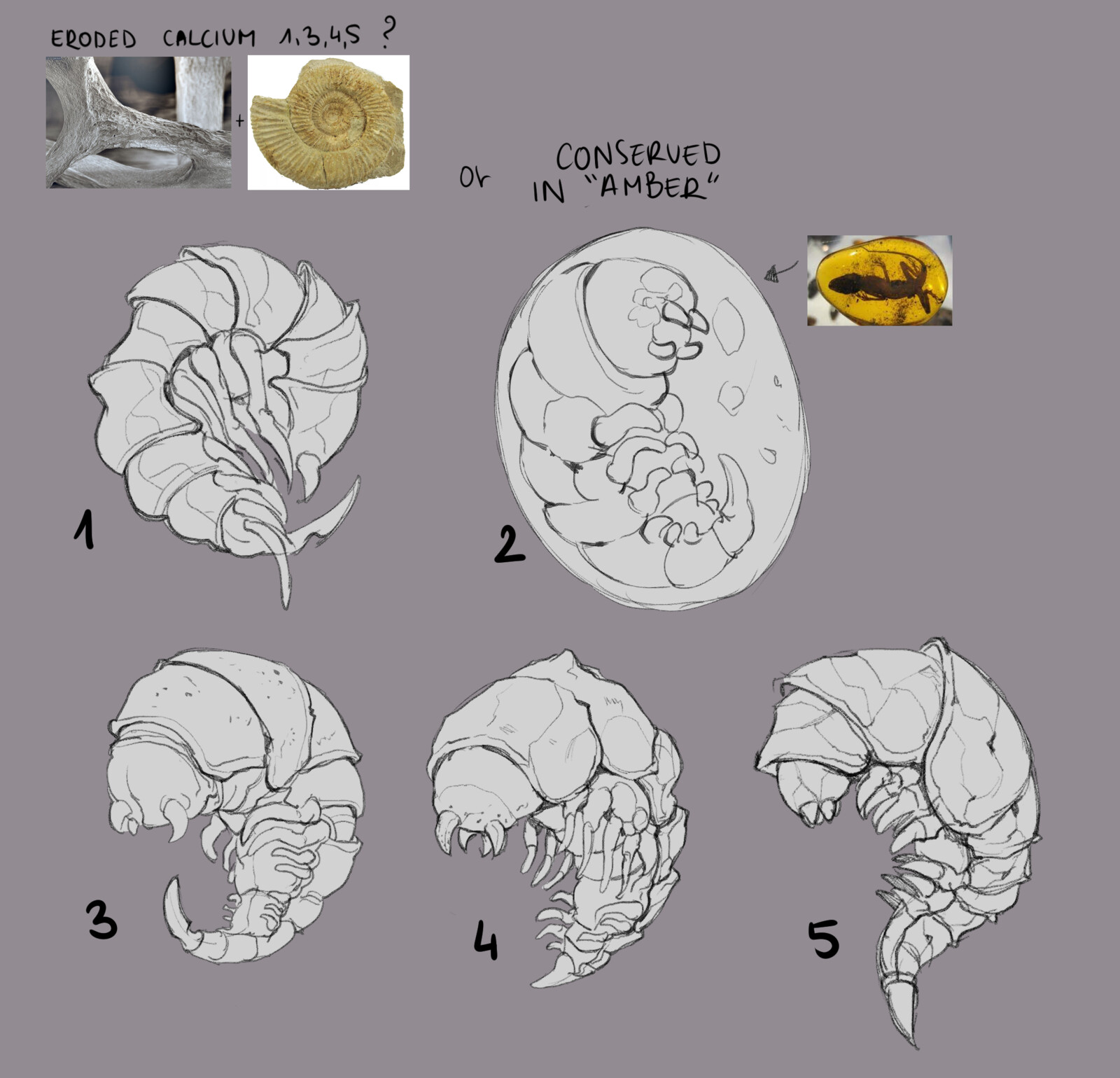 Weronika Kordeusz - Nemesis: Distress- Alien Eggs and Larva