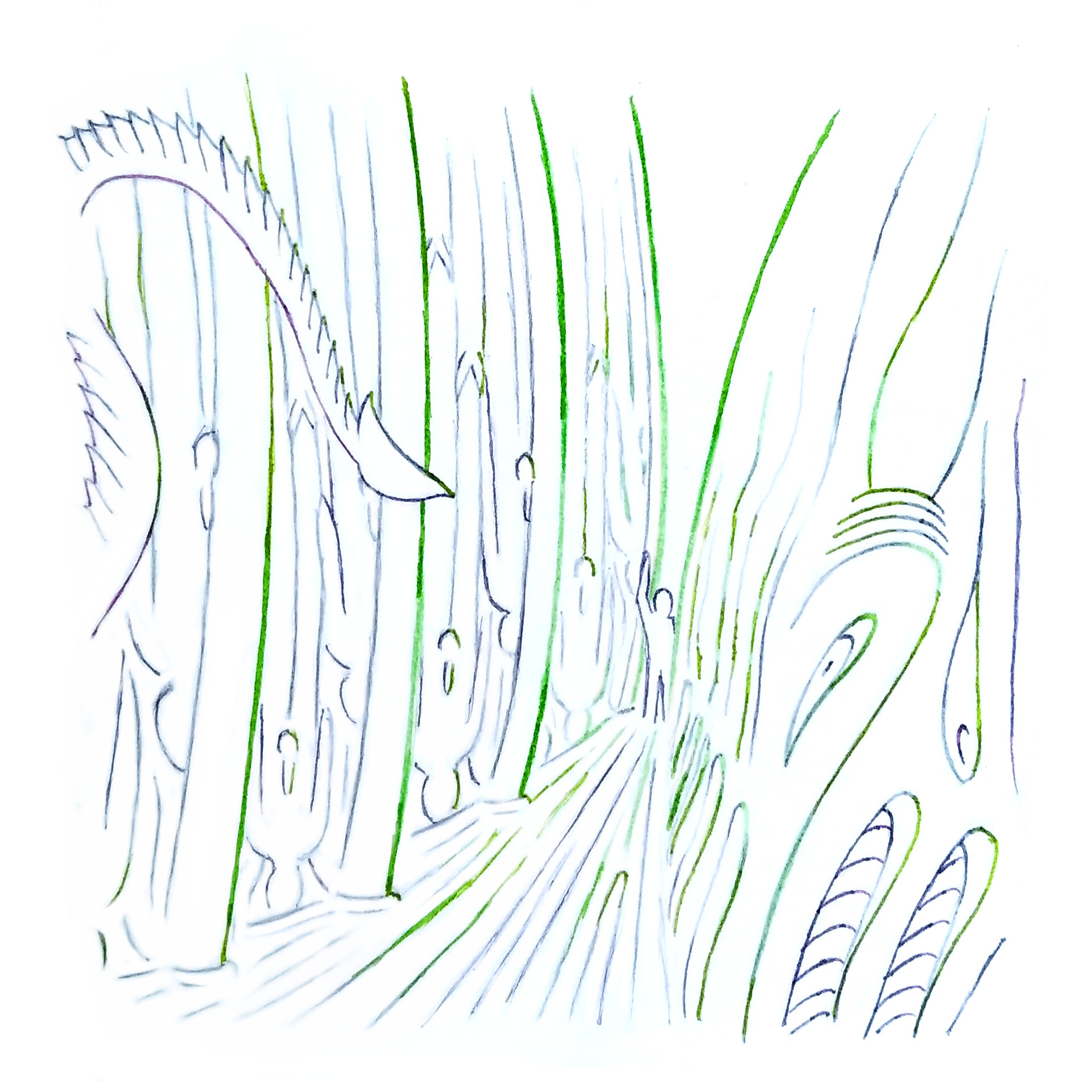 Pablo Luque Redondo - Vignettes VI