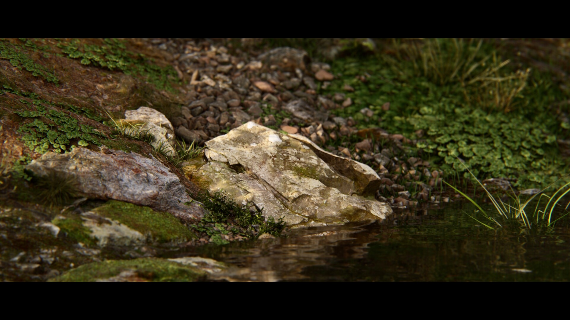 Adam Ingram - Farnsworth - An Animated Featurette